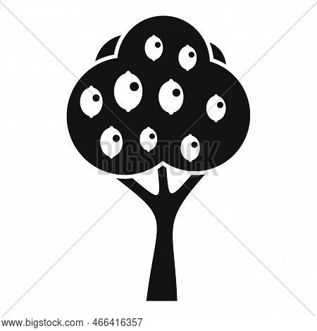 Lemon Tree Clipart Black And White