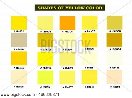 Shades Yellow Color Vector & Photo (Free Trial) | Bigstock