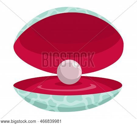 Cartoon Open Seashell