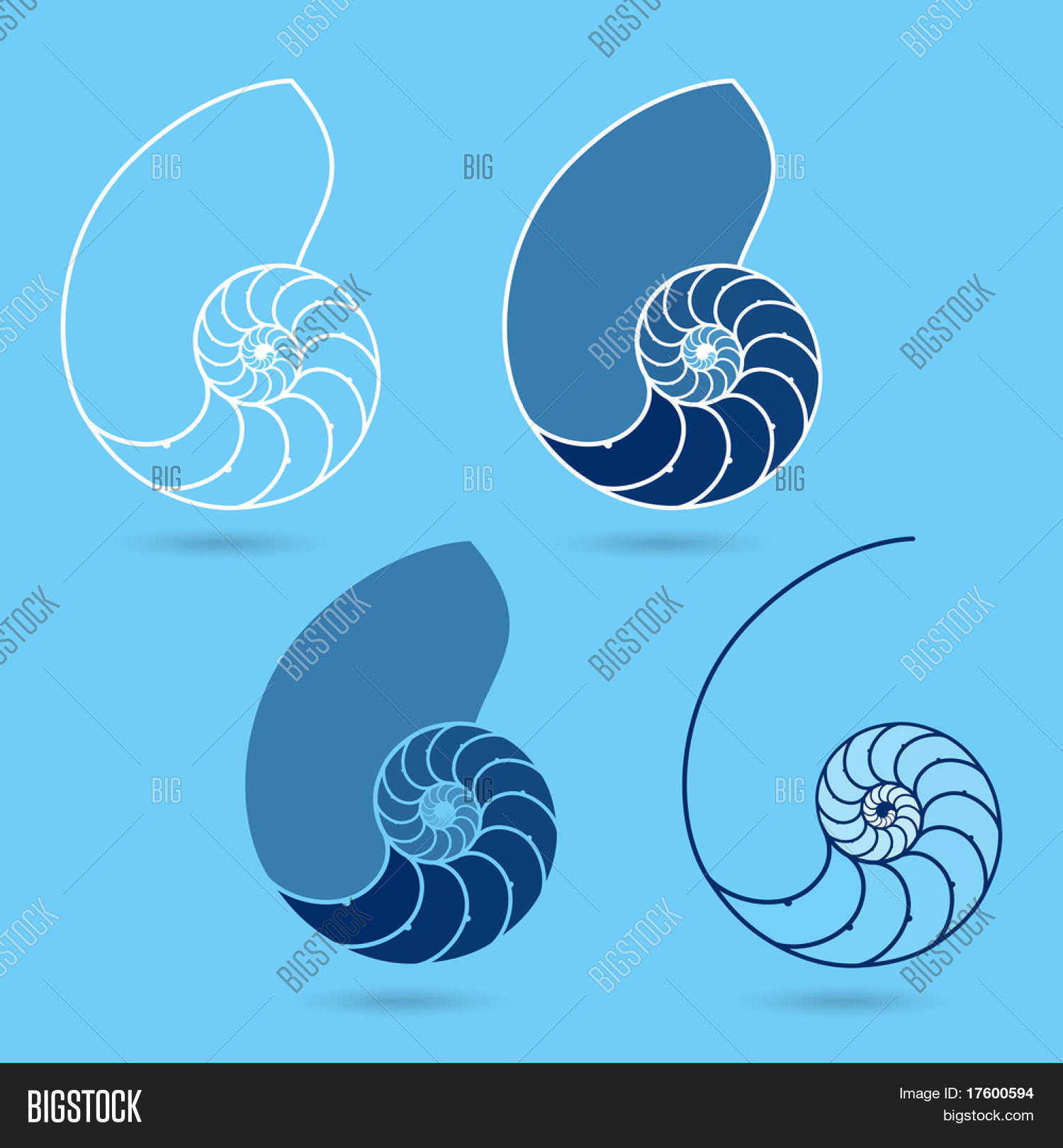 Nautilus Shells. Vector & Photo (Free Trial) | Bigstock