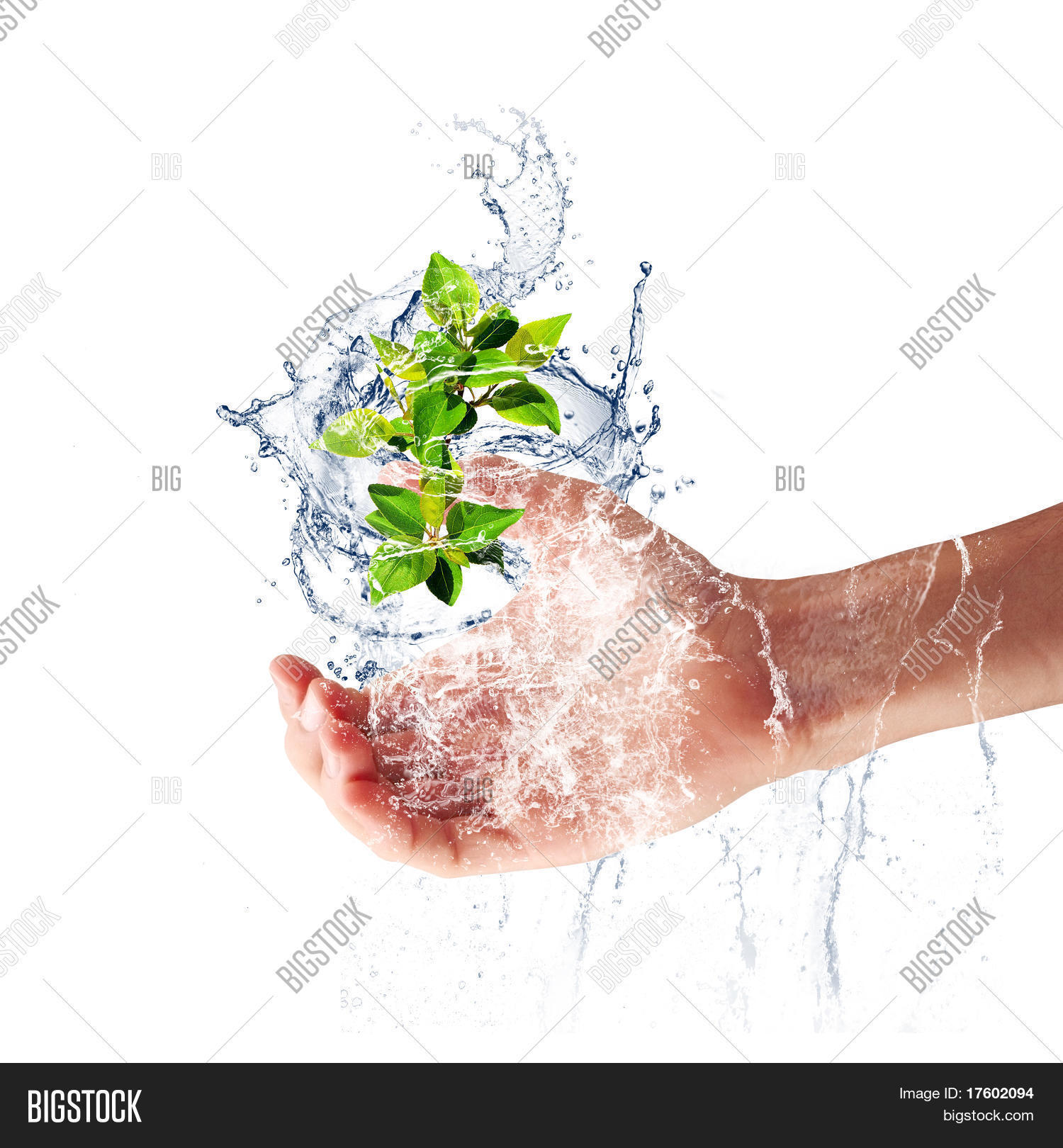 Young Sprout Human Image & Photo (Free Trial) | Bigstock