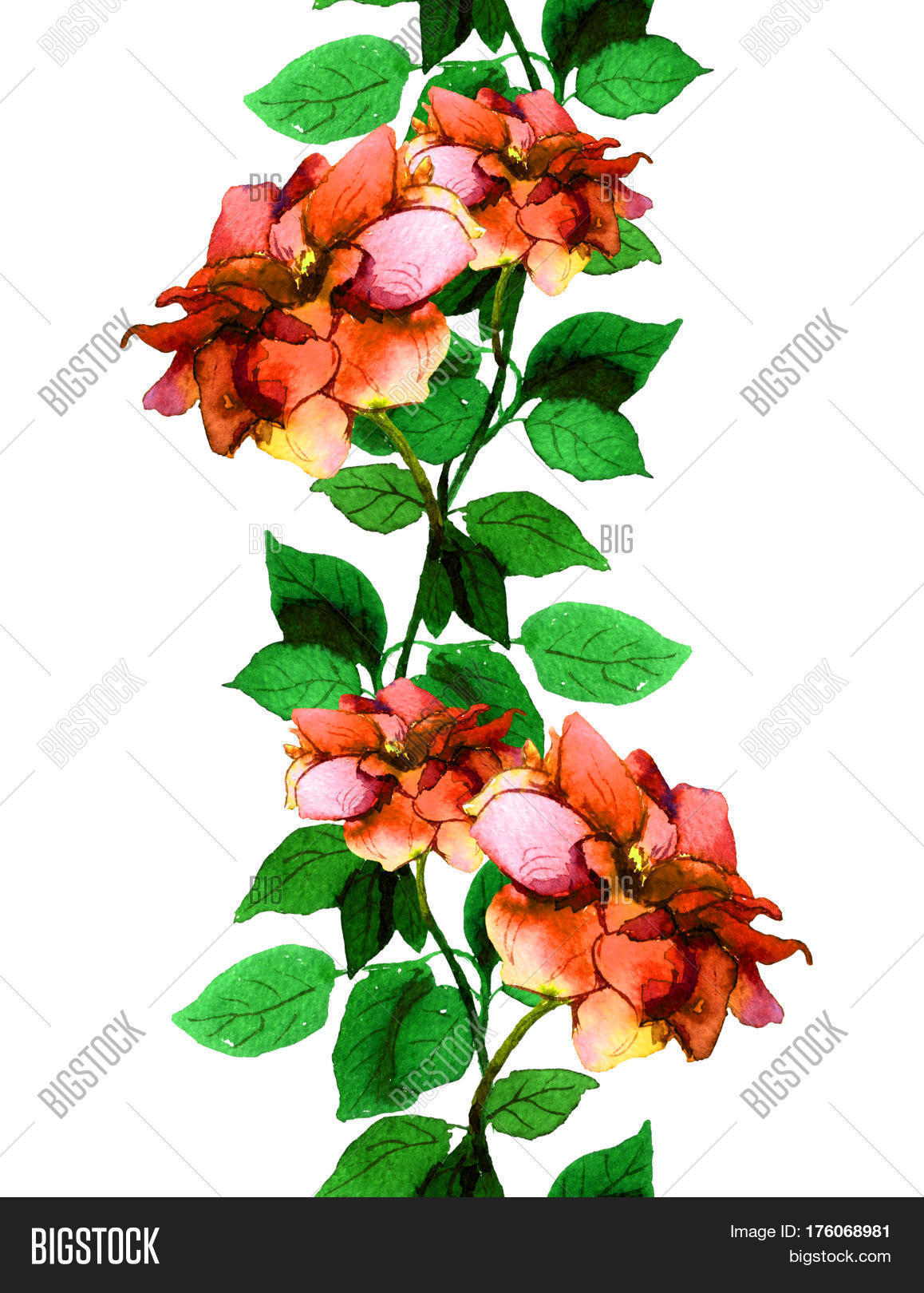 Repeated Floral Border Image & Photo (Free Trial) | Bigstock