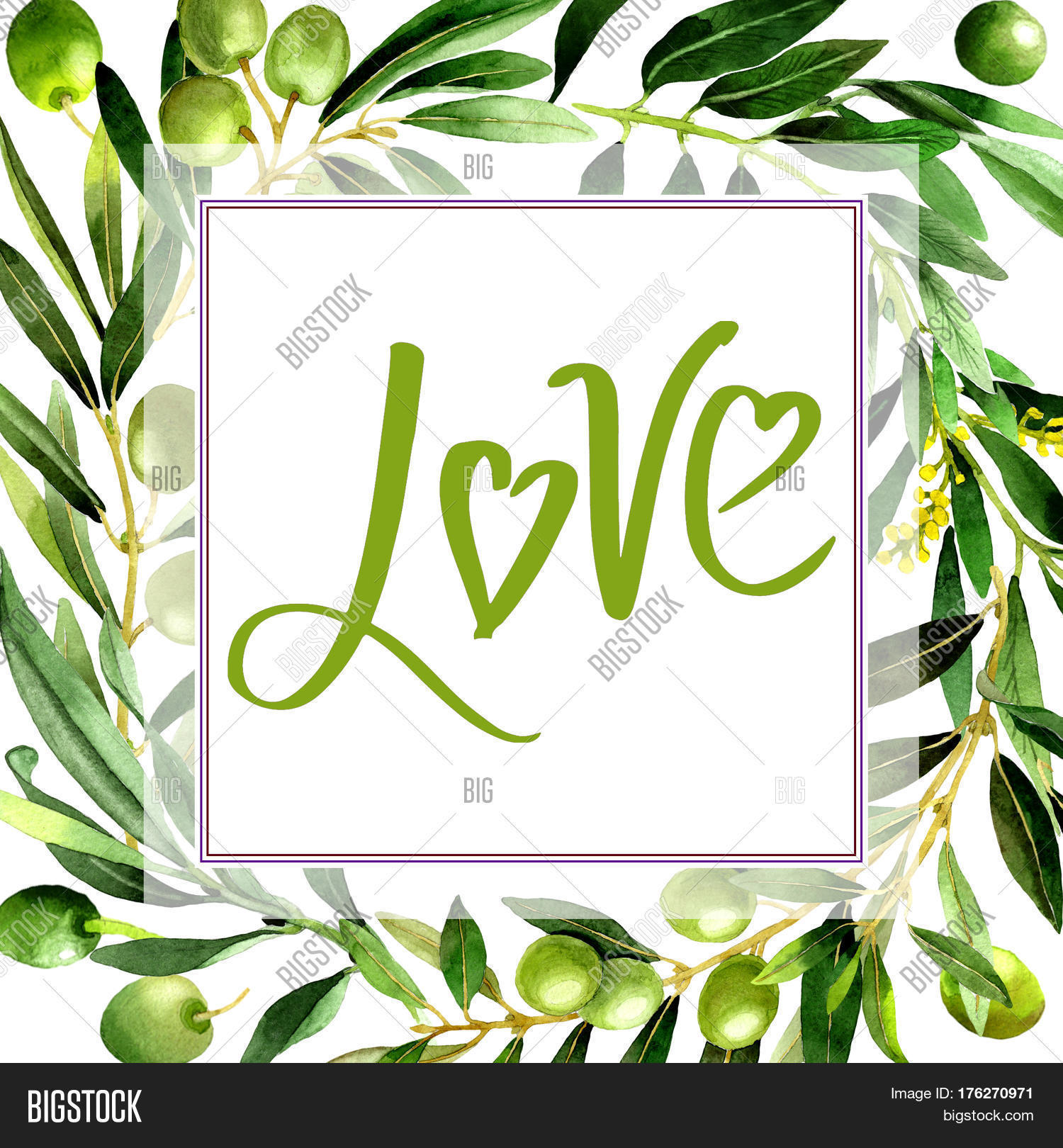 Olive Tree Frame Image & Photo (Free Trial) | Bigstock