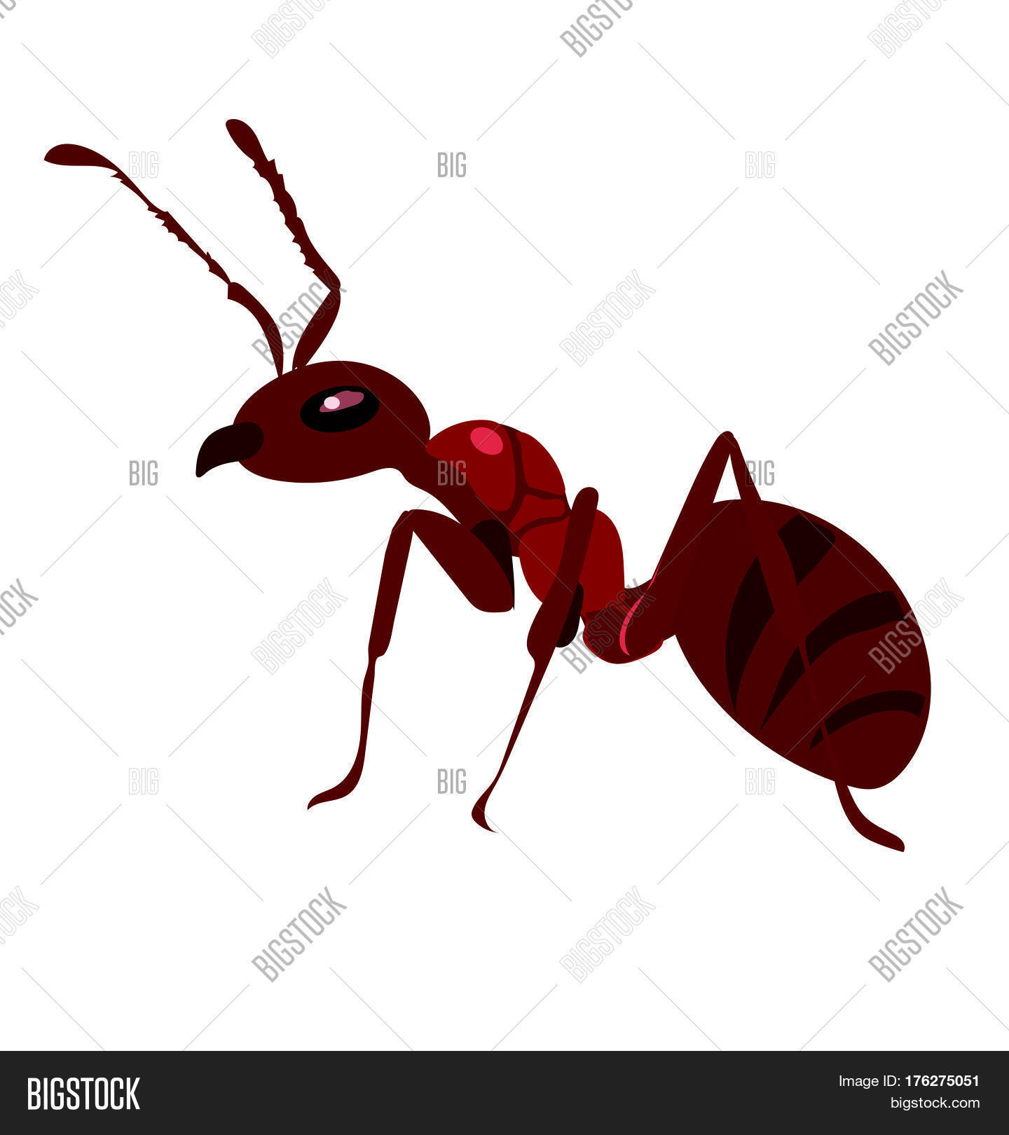 Fire Ant Ready Work Vector & Photo (Free Trial) | Bigstock