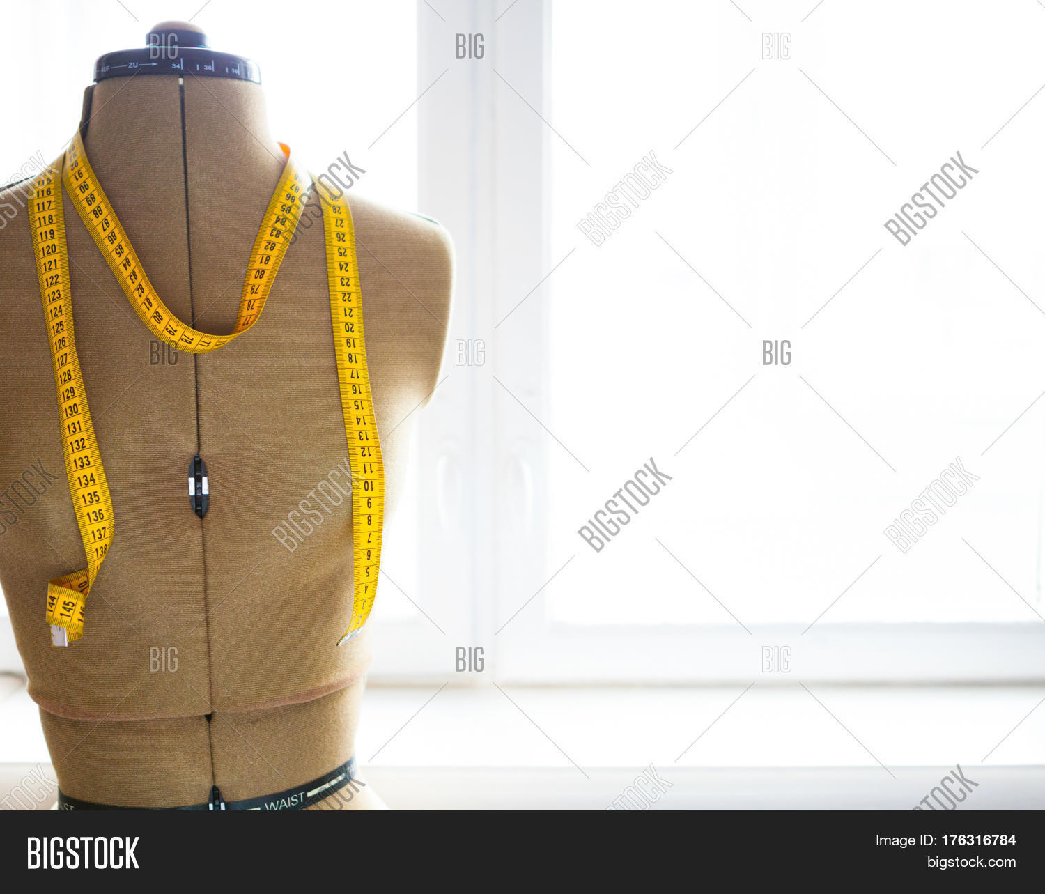 Tailor Dummy Measuring Image & Photo (Free Trial) | Bigstock