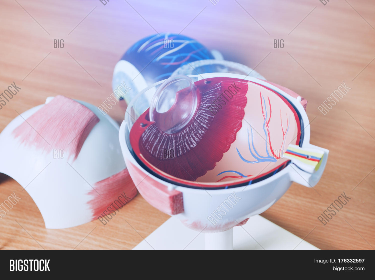 Ophthalmology Oculus Image & Photo (Free Trial) | Bigstock