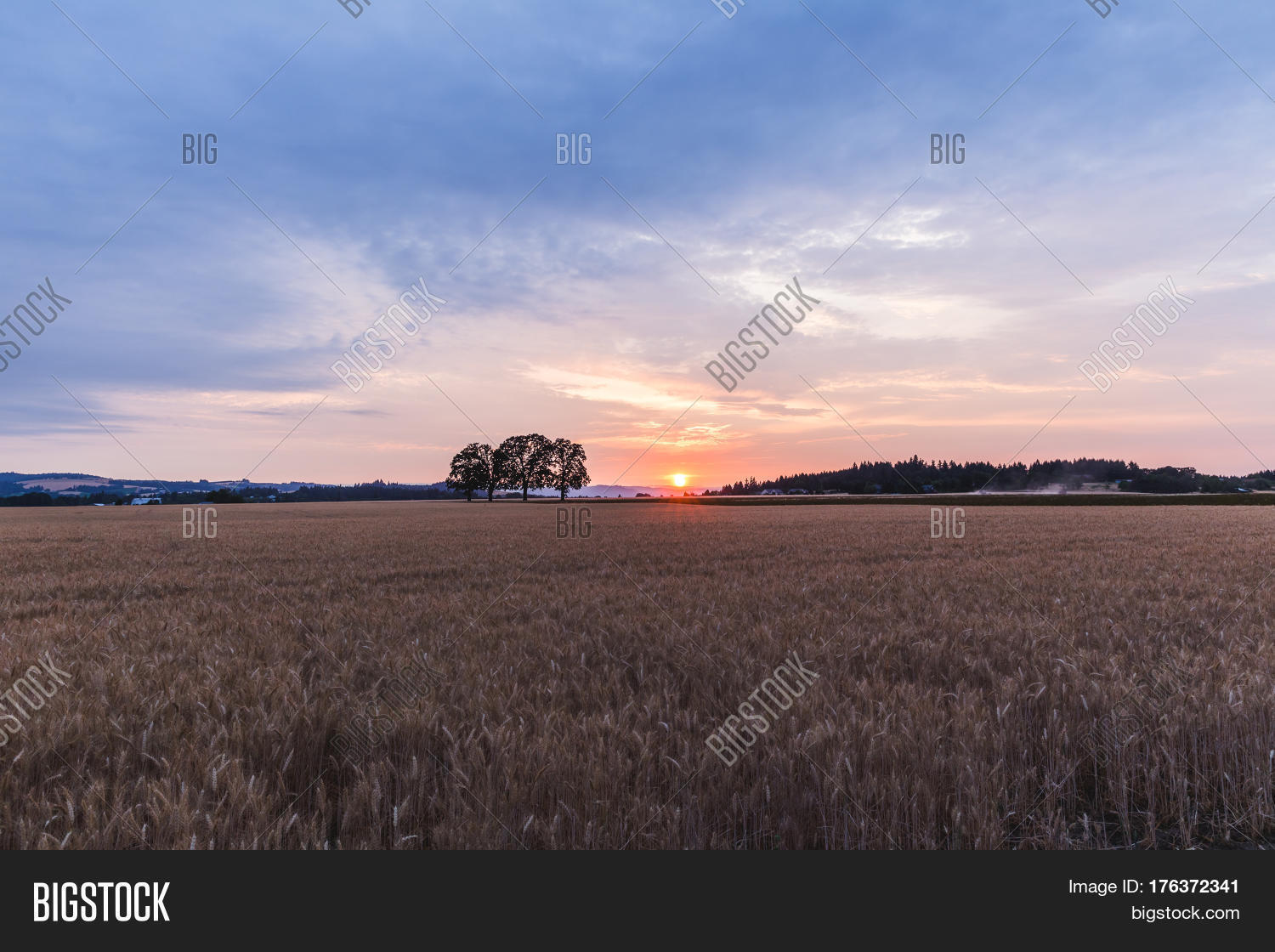 Colorful Sunset Rural Image & Photo (Free Trial) | Bigstock