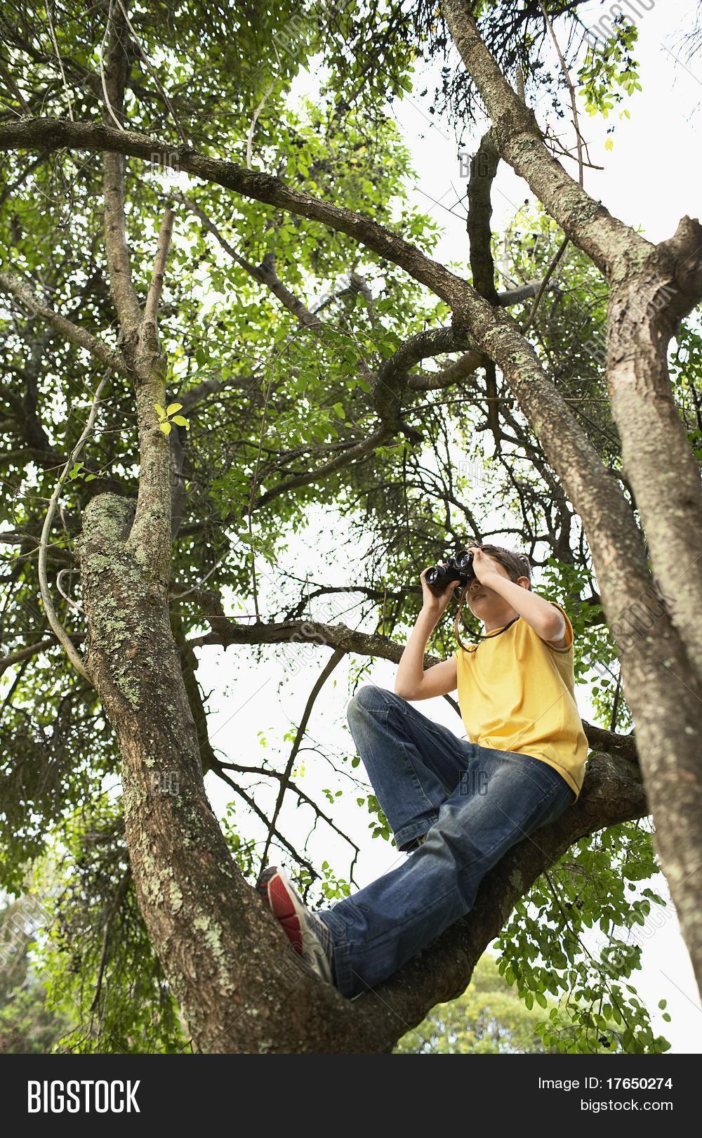 Boy Tree Using Image & Photo (Free Trial) | Bigstock