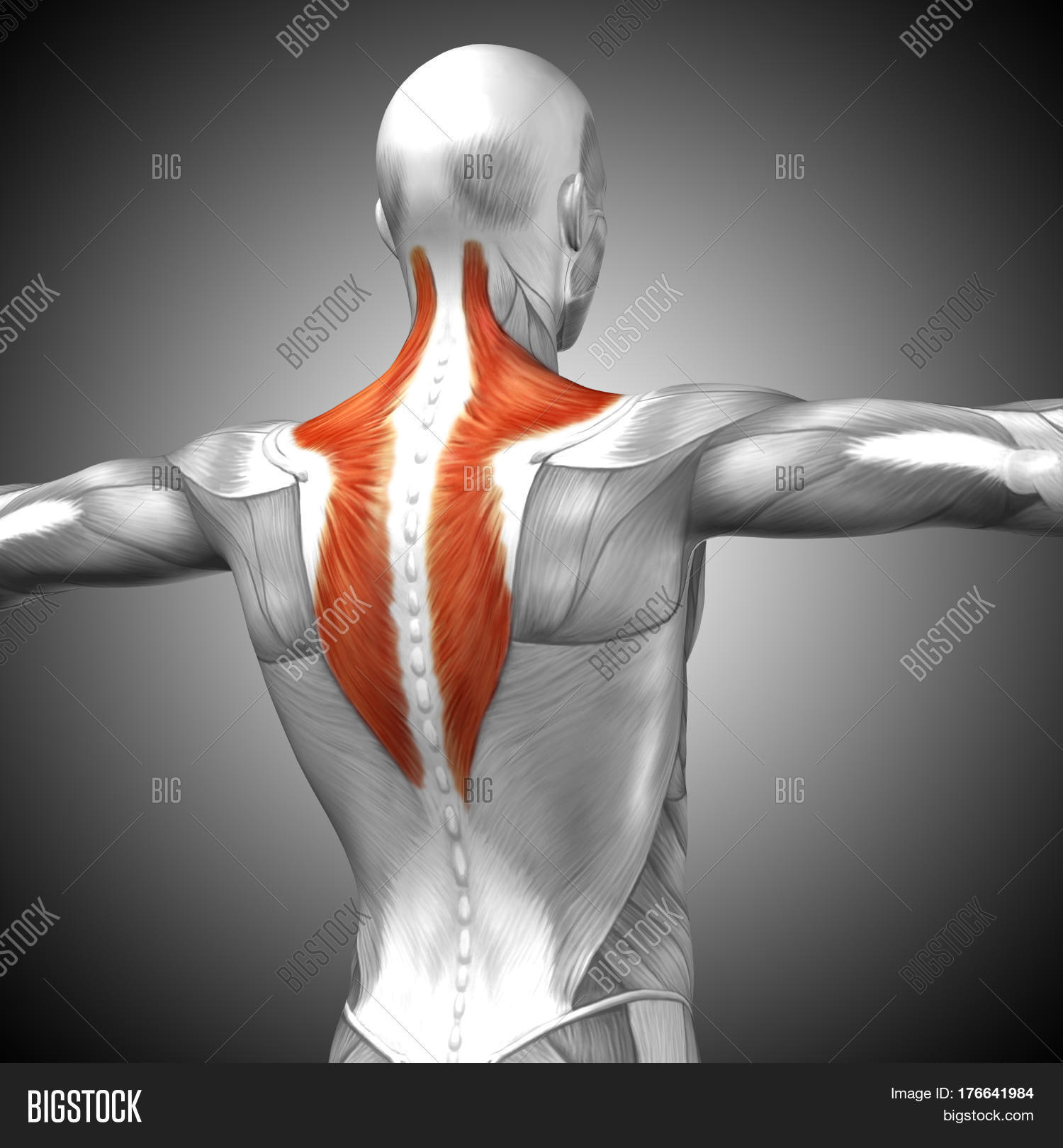 Concept Conceptual 3D Image & Photo (Free Trial) | Bigstock