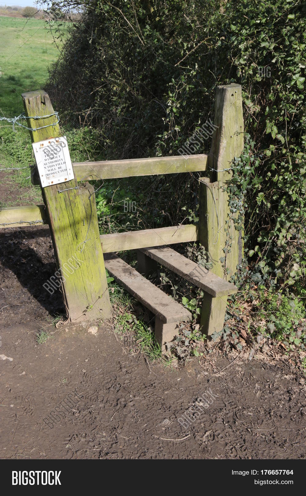 English Stile Image & Photo (Free Trial) | Bigstock