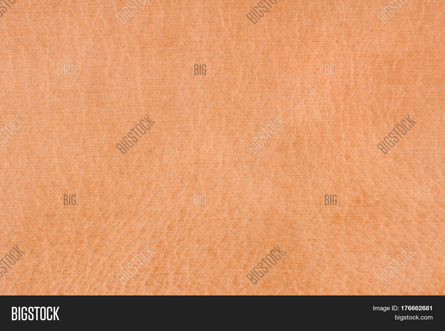 Vegetable Tanned Image & Photo (Free Trial) | Bigstock