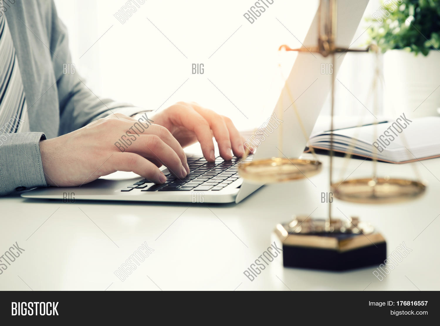 Lawyer Working Office Image & Photo (Free Trial) | Bigstock