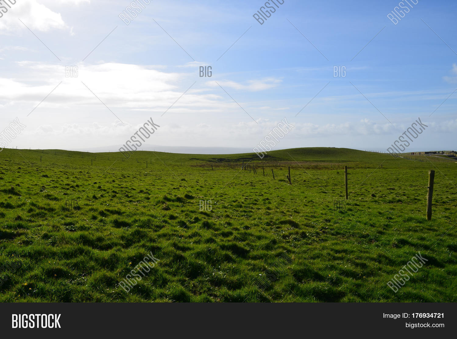 Ireland's Grass Field Image & Photo (Free Trial) | Bigstock