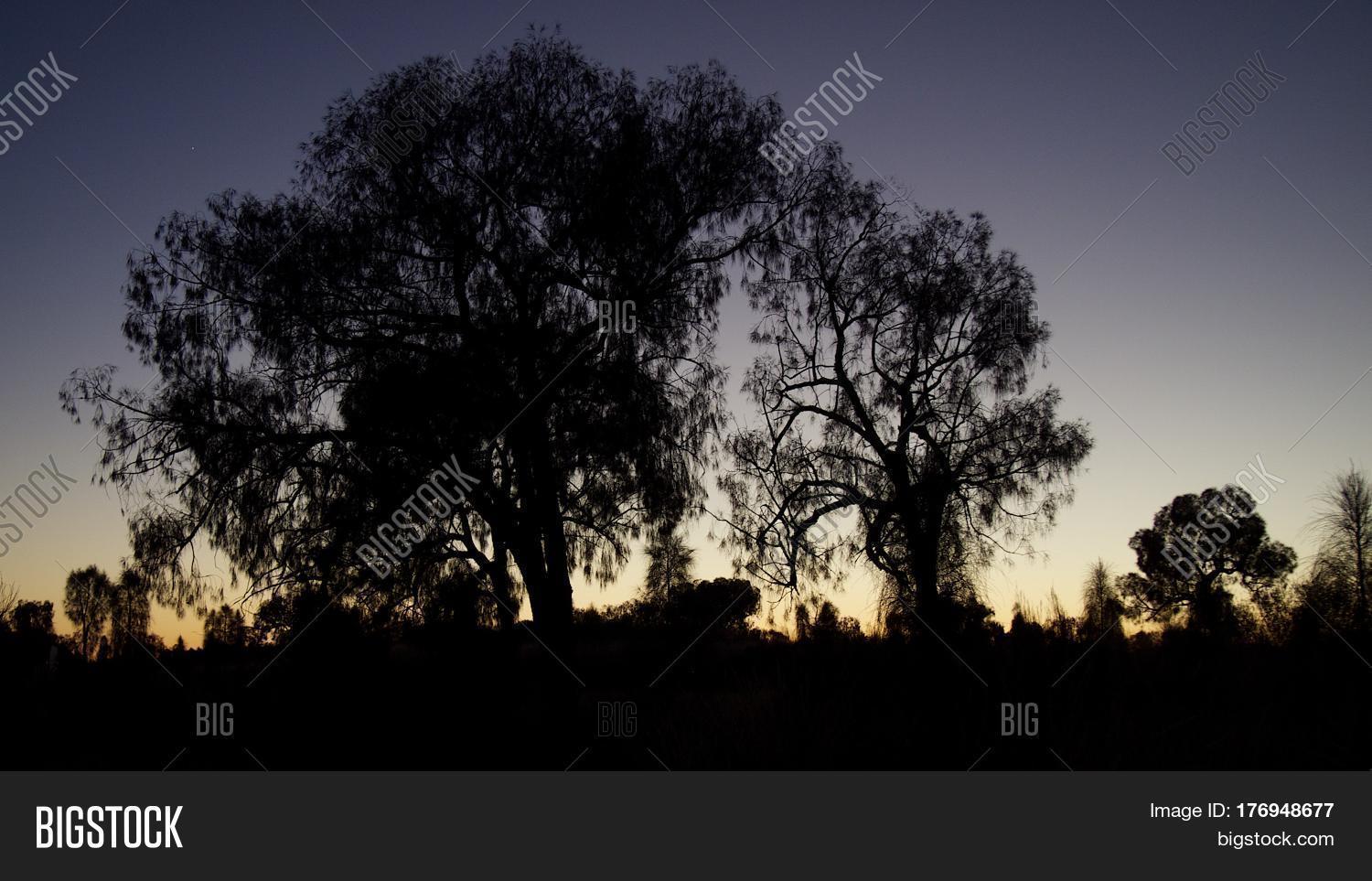Pre-dawn Sunrise Image & Photo (Free Trial) | Bigstock