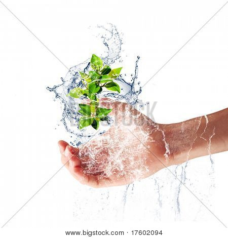 Young Sprout Human Image & Photo (Free Trial) | Bigstock