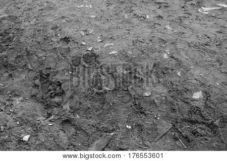 Texture Wet Earth Image & Photo (Free Trial) | Bigstock