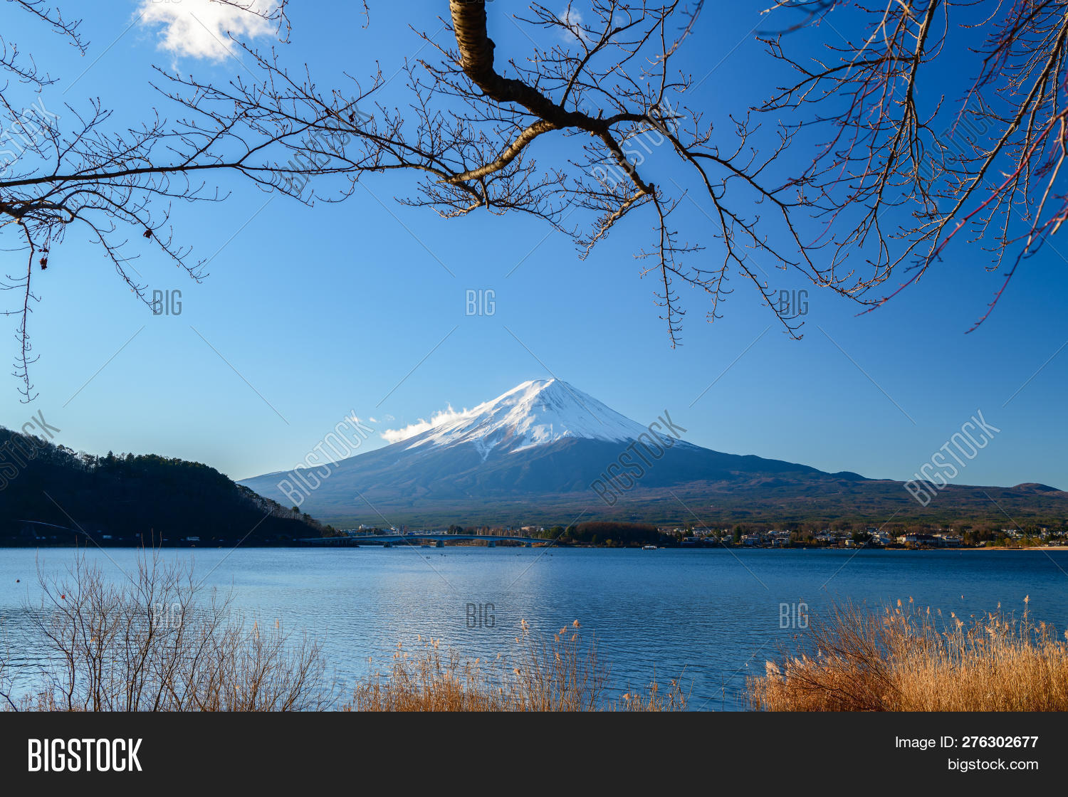 Landscape Fuji Image & Photo (Free Trial) | Bigstock