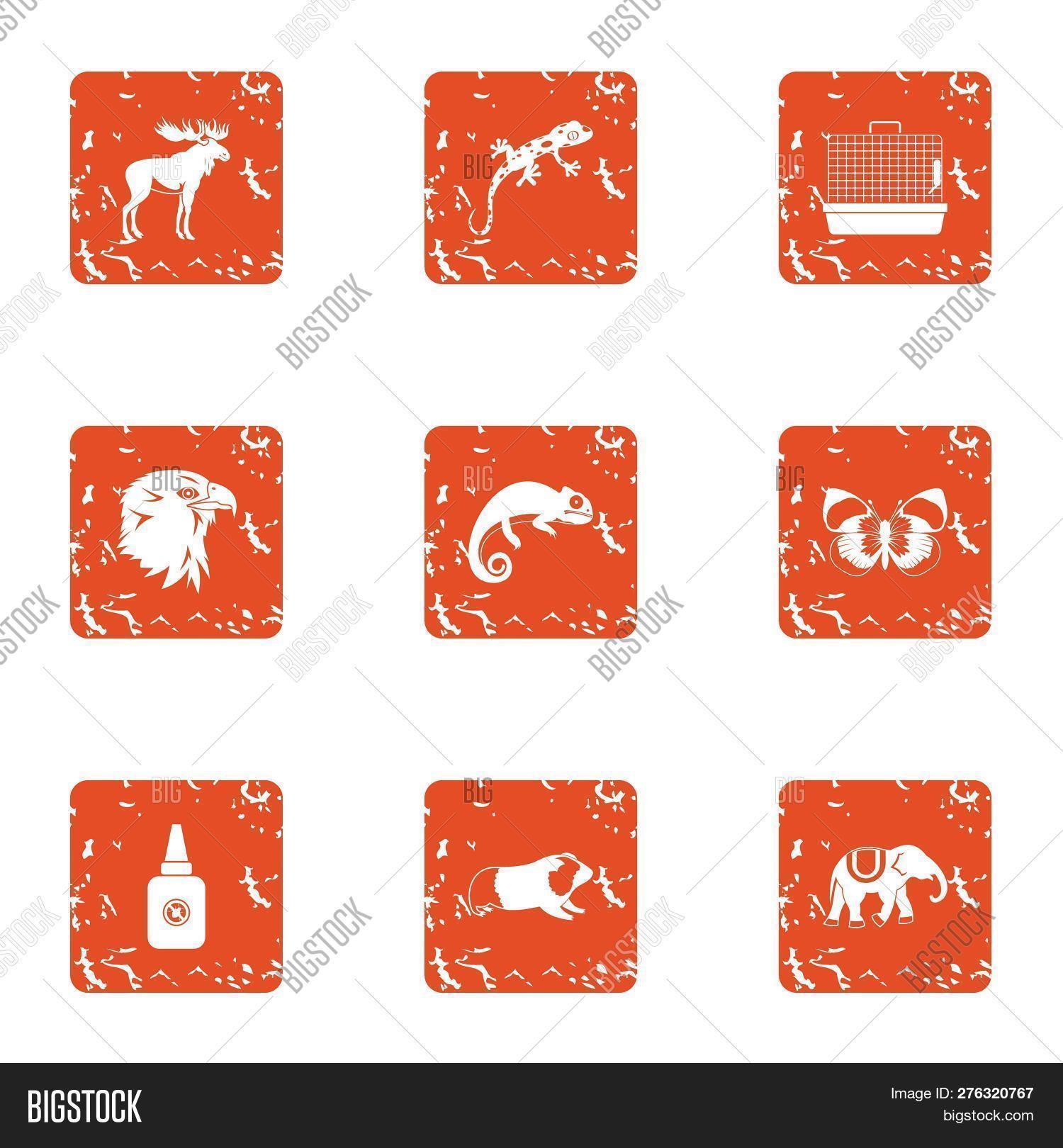 Untamed Icons Set. Image & Photo (Free Trial) | Bigstock