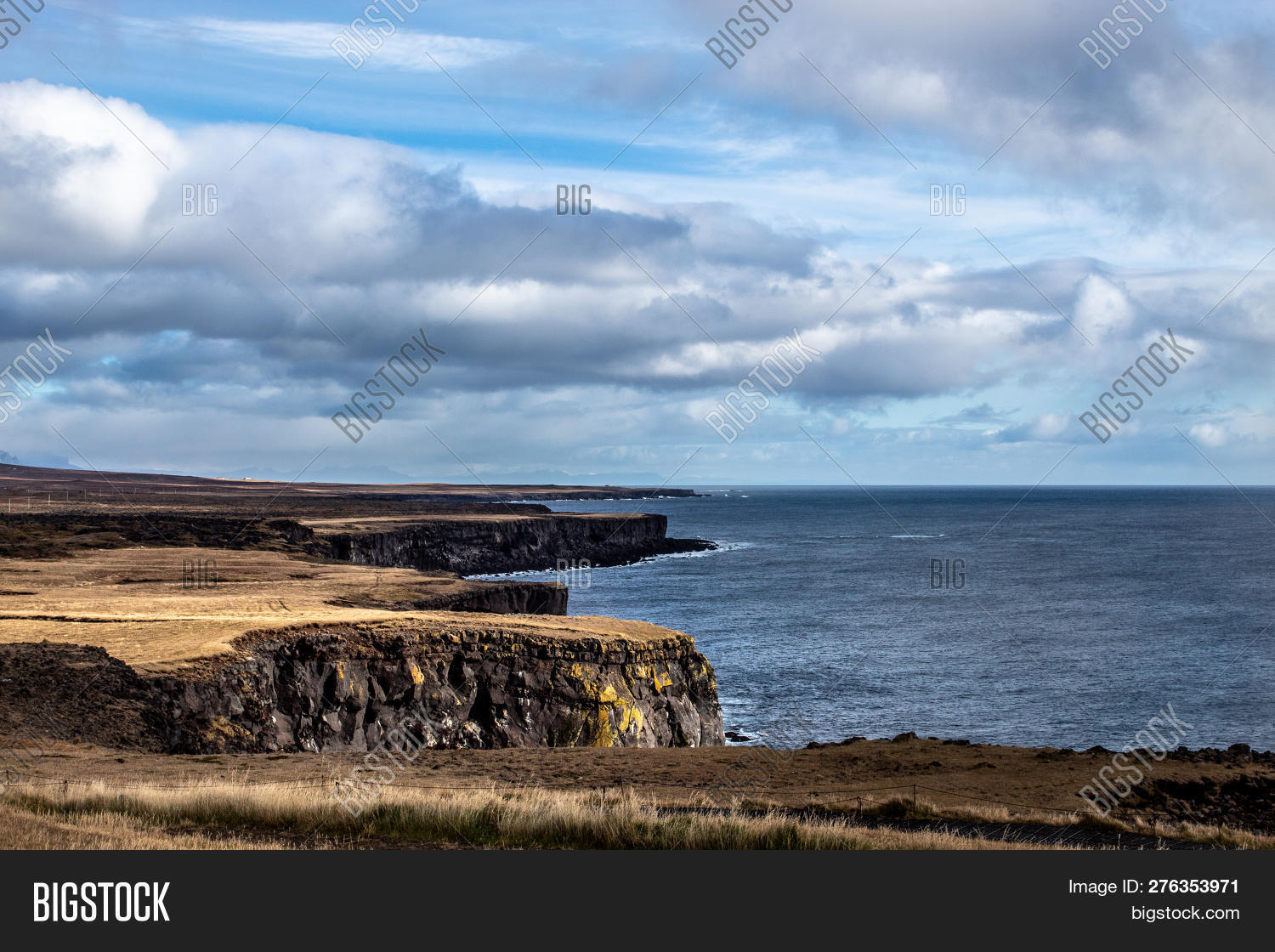 Cliffs Ocean Iceland Image & Photo (Free Trial) | Bigstock