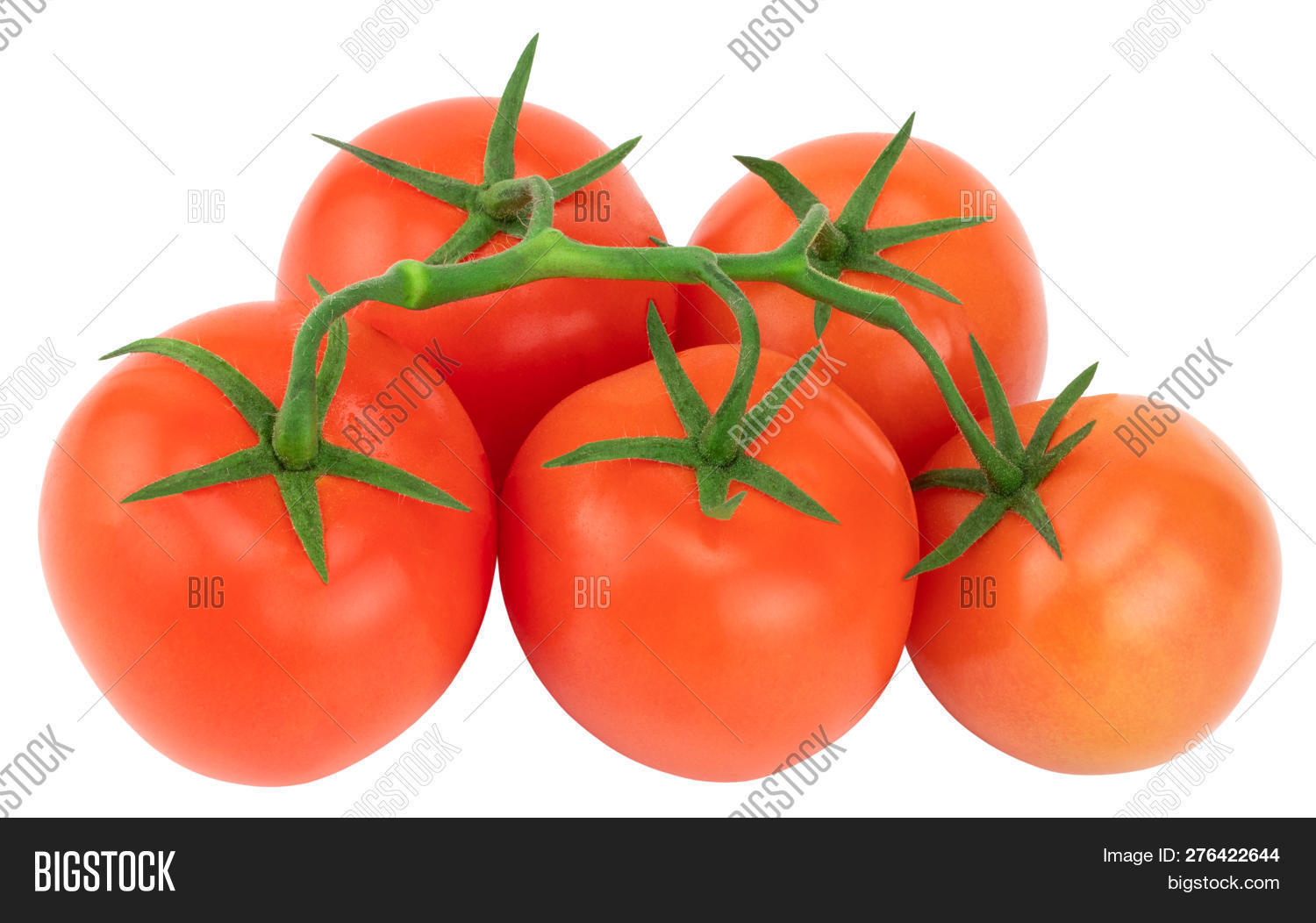 Tomato. Tomato Branch Image & Photo (Free Trial) | Bigstock