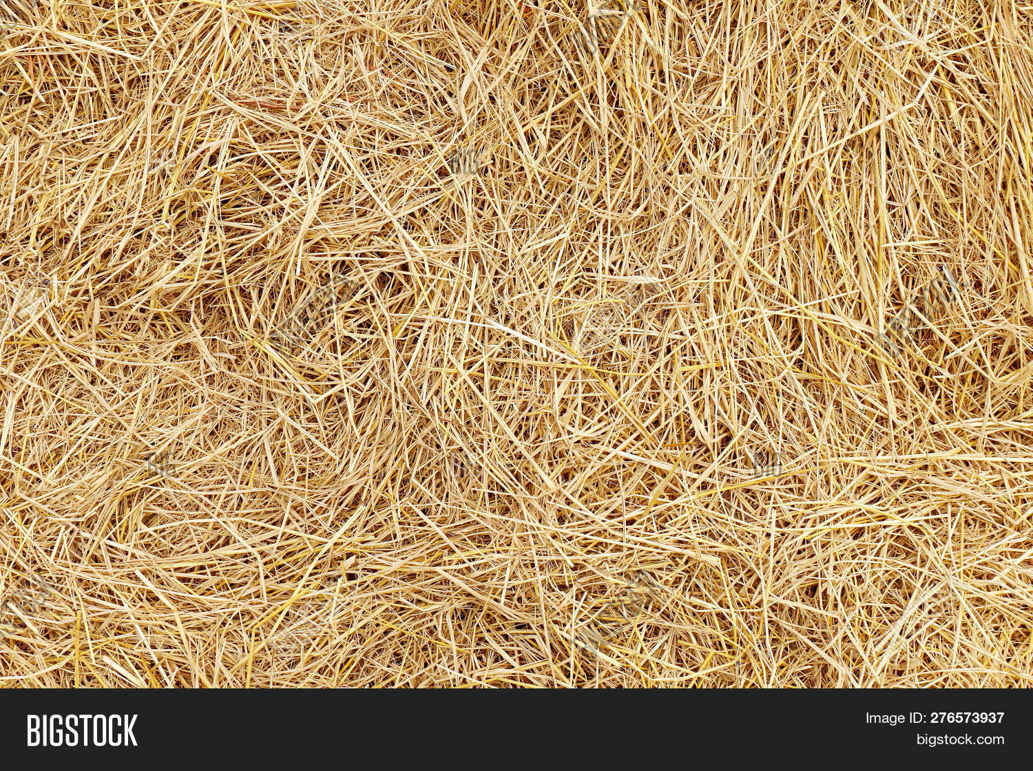 Straw, Dry Straw, Hay Image & Photo (Free Trial) | Bigstock