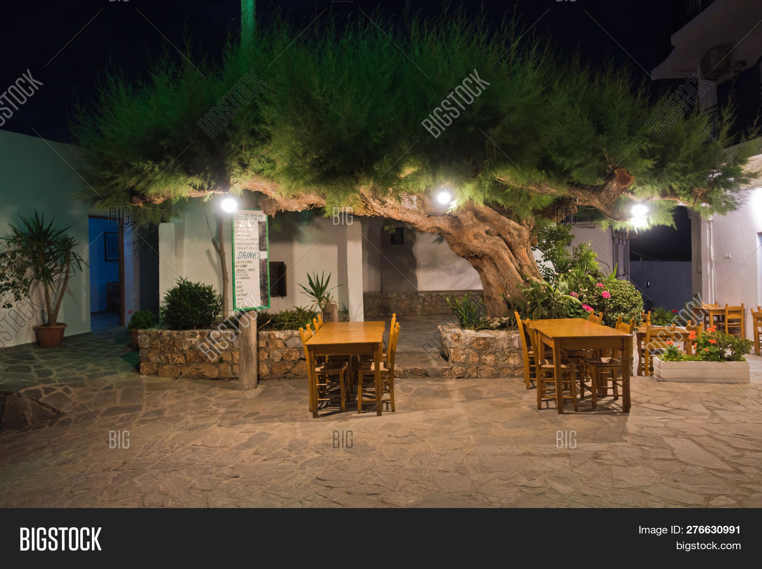 Restaurant Under Tree Image & Photo (Free Trial) | Bigstock