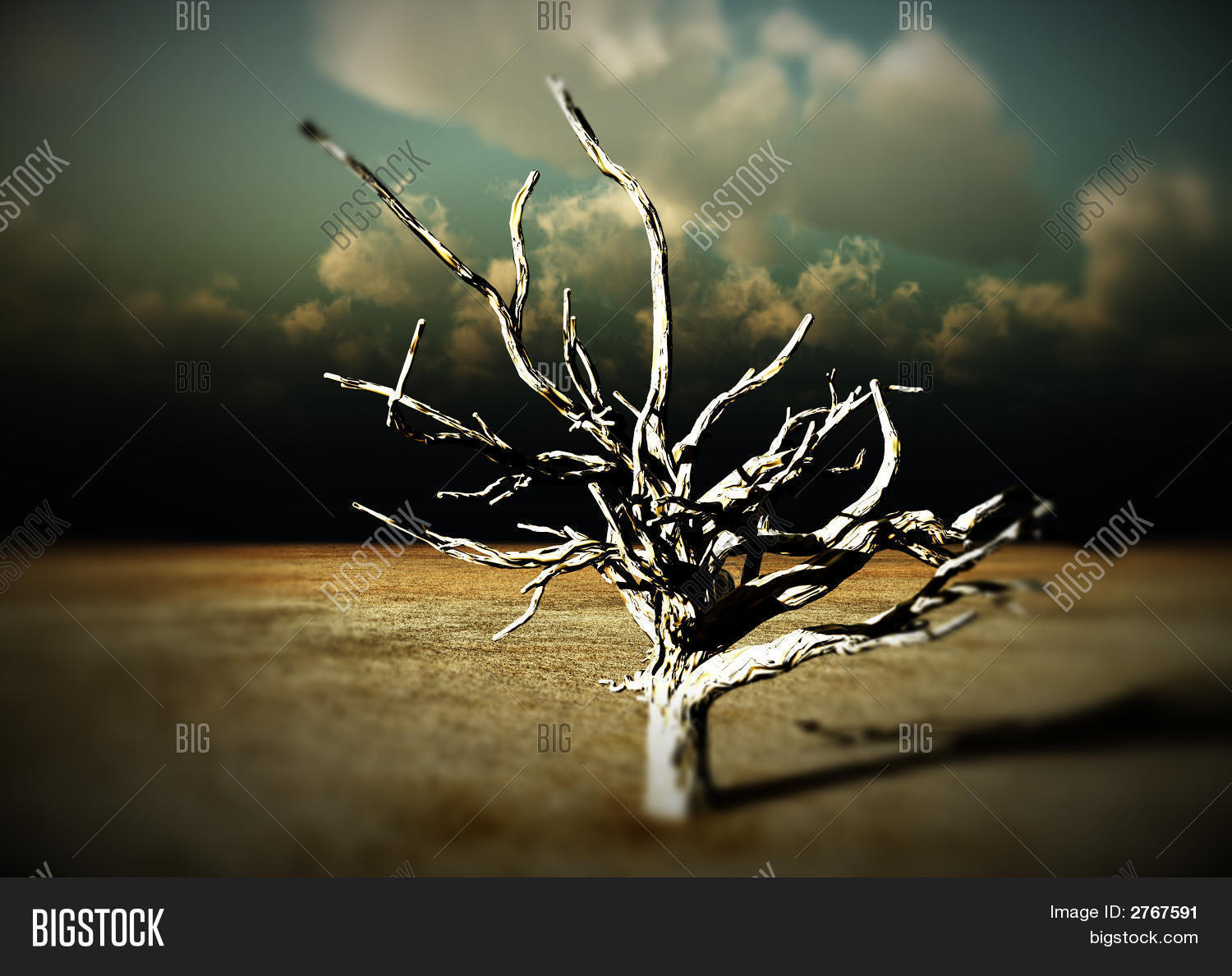 Barren Wilderness Image & Photo (Free Trial) | Bigstock
