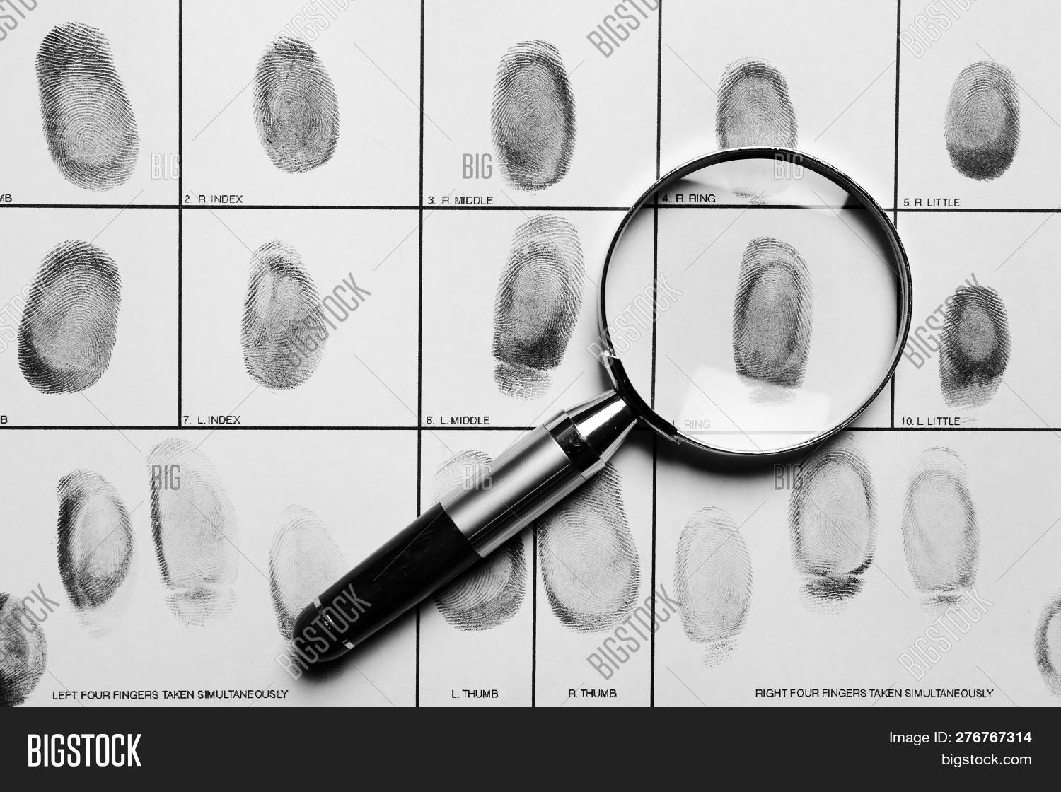 Criminal Fingerprint Image & Photo (Free Trial) | Bigstock