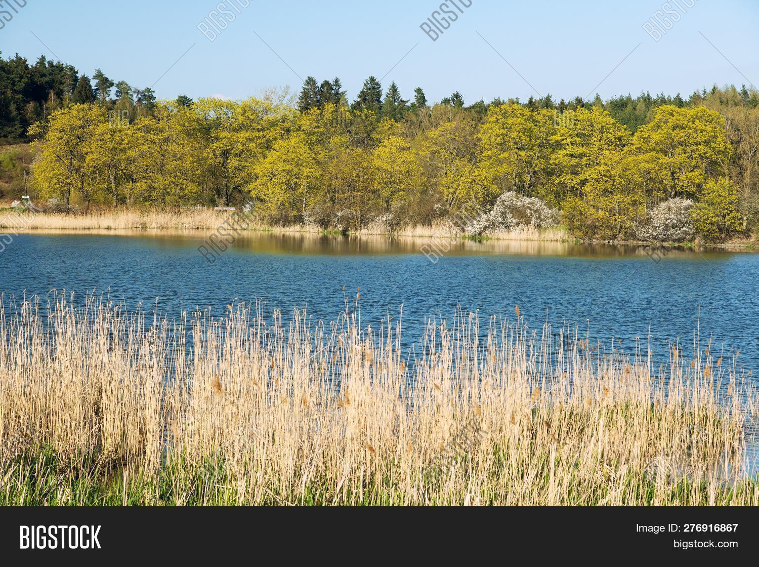 Springtime Beautiful Image & Photo (Free Trial) | Bigstock