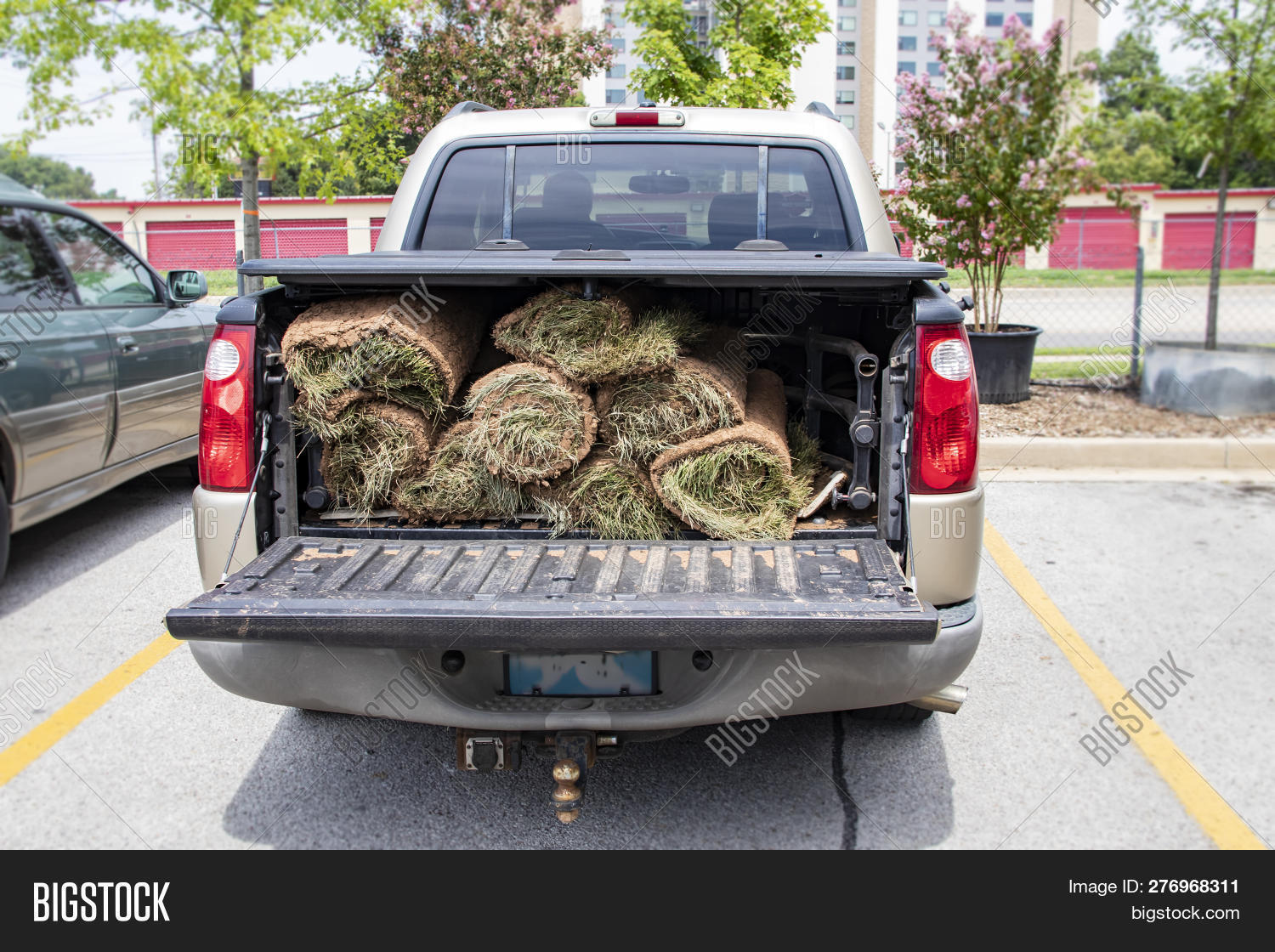 Close- Back Pickup Image & Photo (Free Trial) | Bigstock