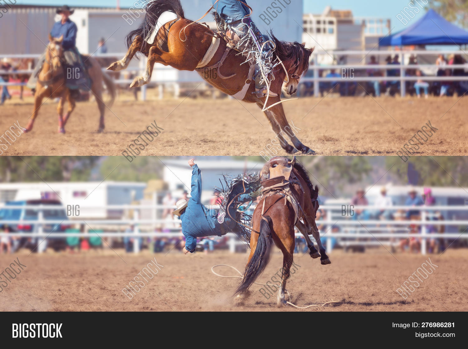 Collage Cowboy Horse Image & Photo (Free Trial) | Bigstock