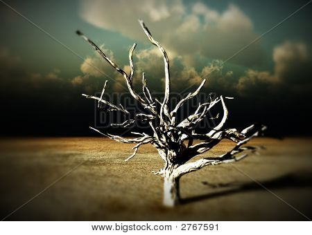 Barren Wilderness Image & Photo (Free Trial) | Bigstock
