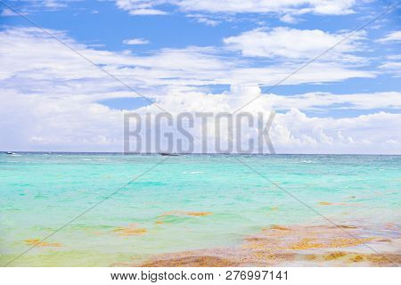 Tropics, Atlantic Image & Photo (Free Trial) | Bigstock