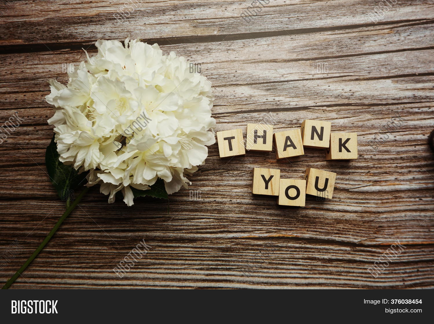 Thank You Alphabet Image & Photo (Free Trial) | Bigstock