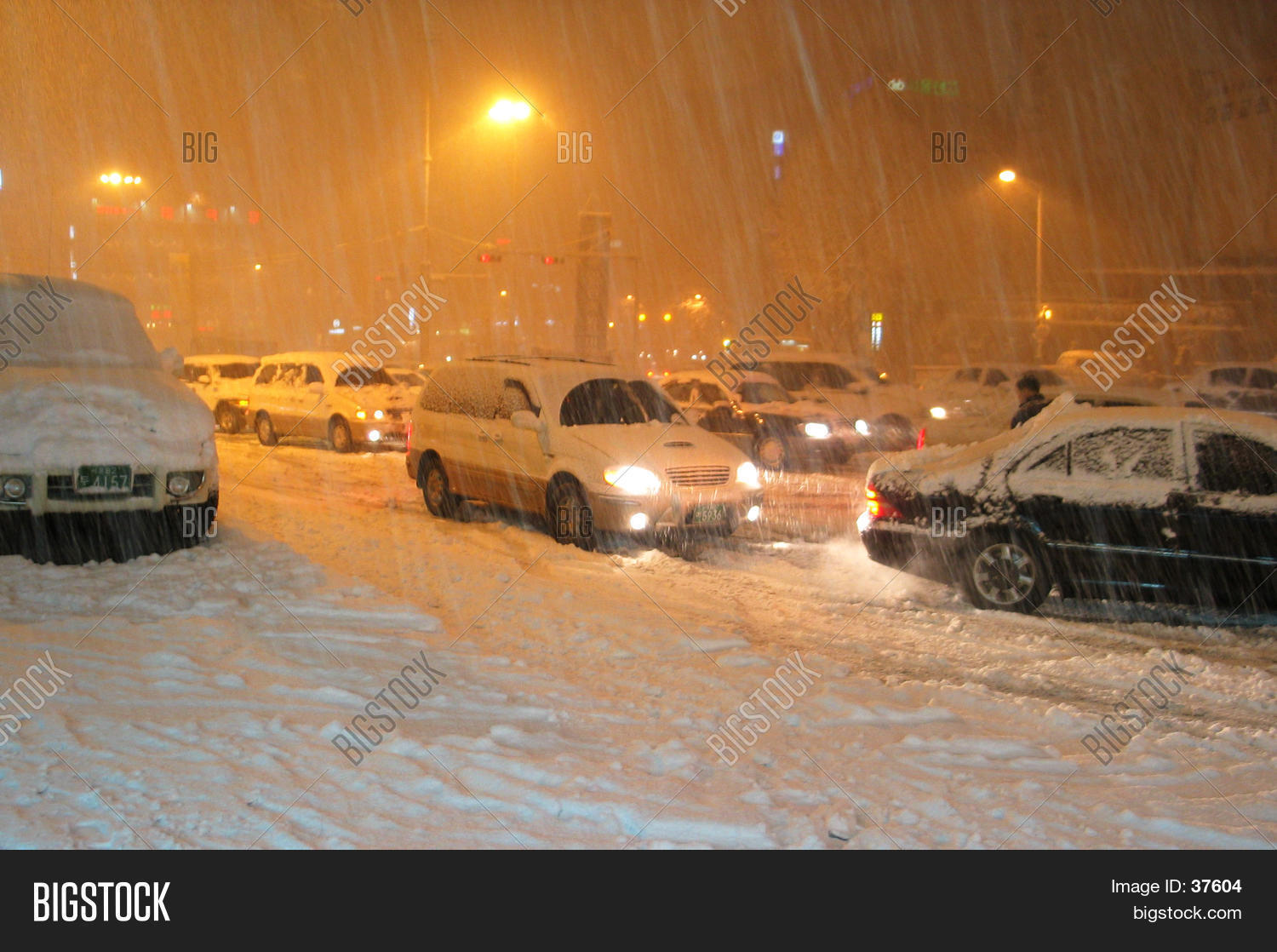 Snow Storm Image & Photo (Free Trial) | Bigstock