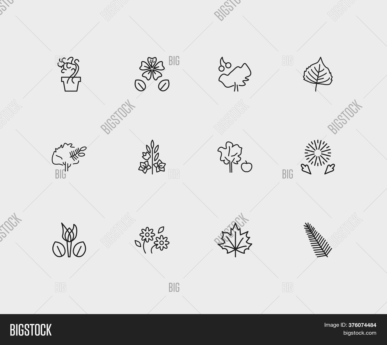 Botany Icons Set. Image & Photo (Free Trial) | Bigstock