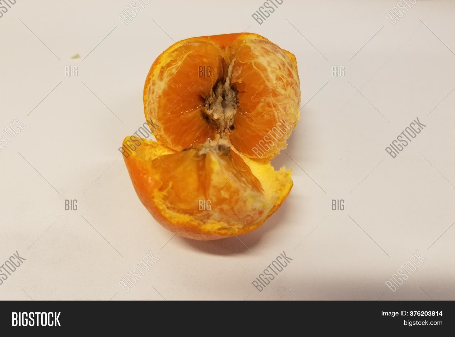 Rotting Putrid Inside Image & Photo (Free Trial) | Bigstock