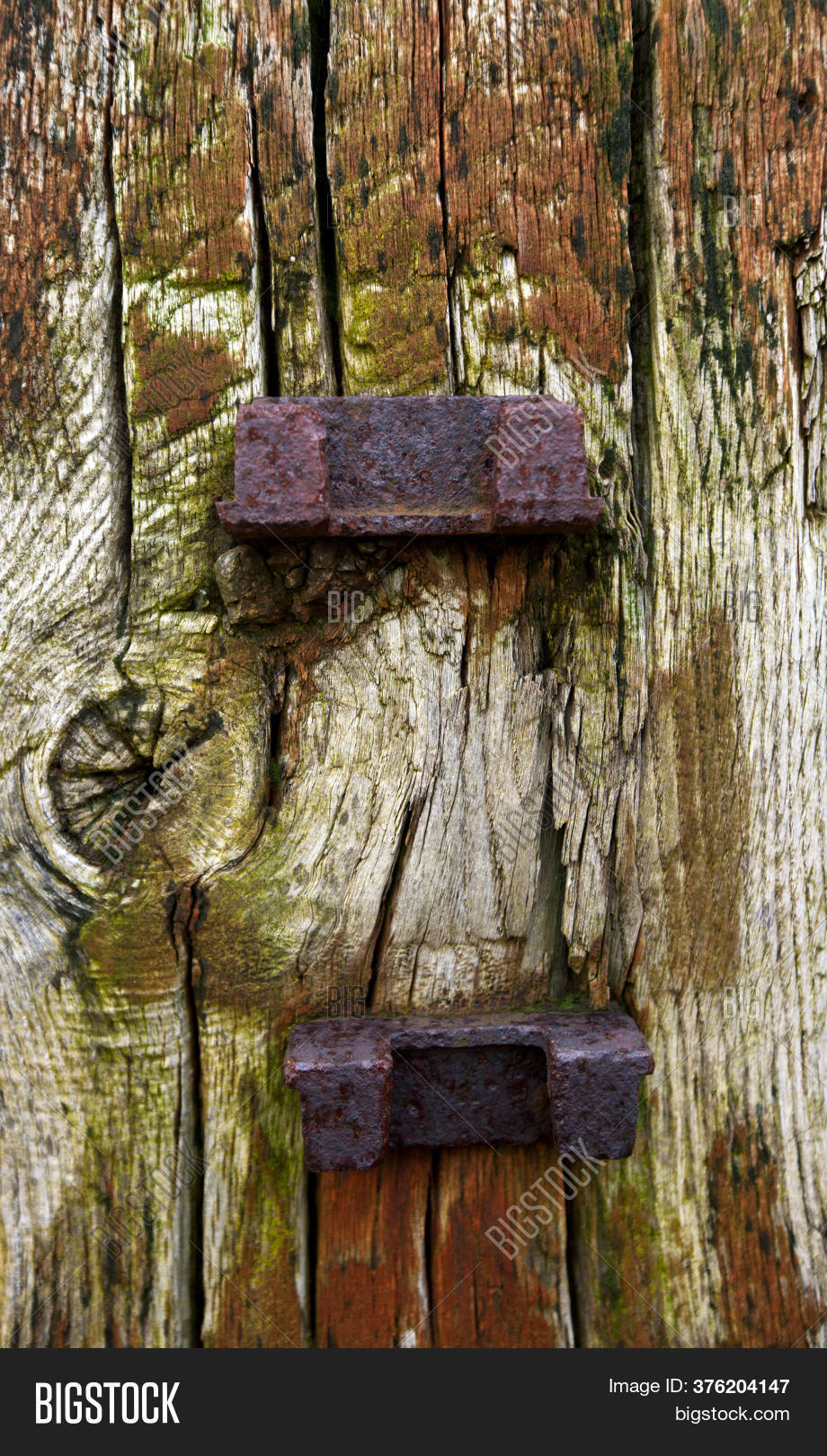 Close- Detail Image & Photo (Free Trial) | Bigstock