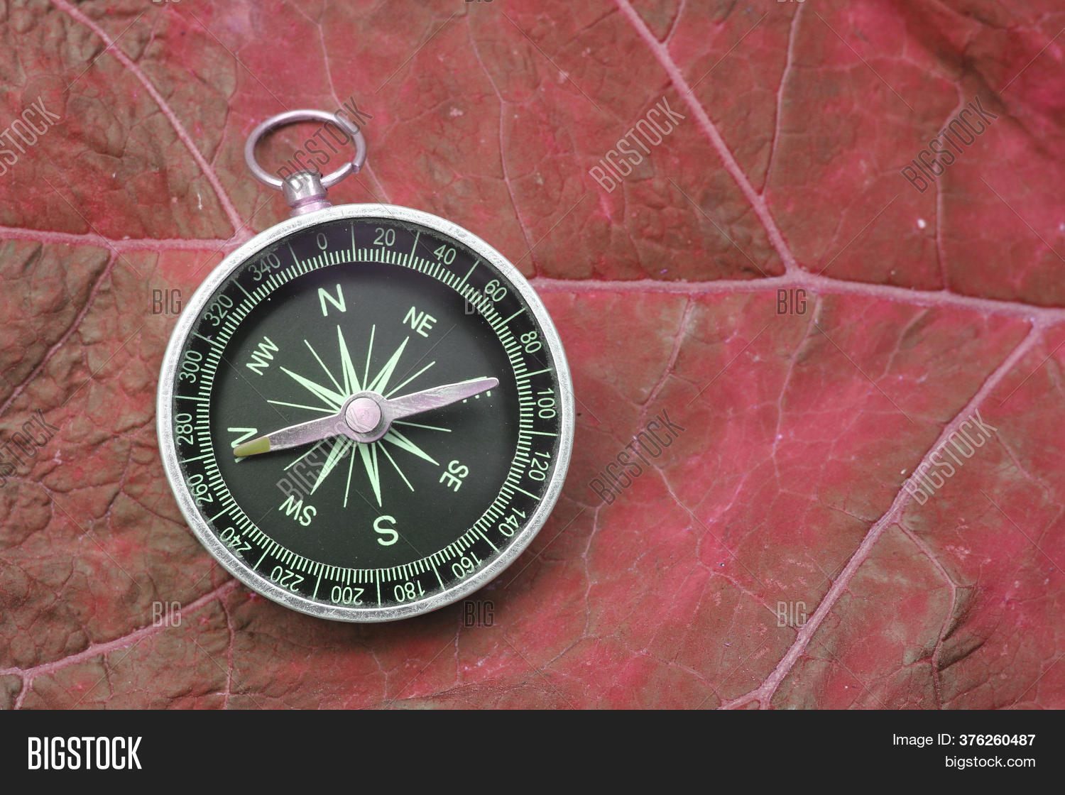 Round Compass On Red Image & Photo (Free Trial) | Bigstock