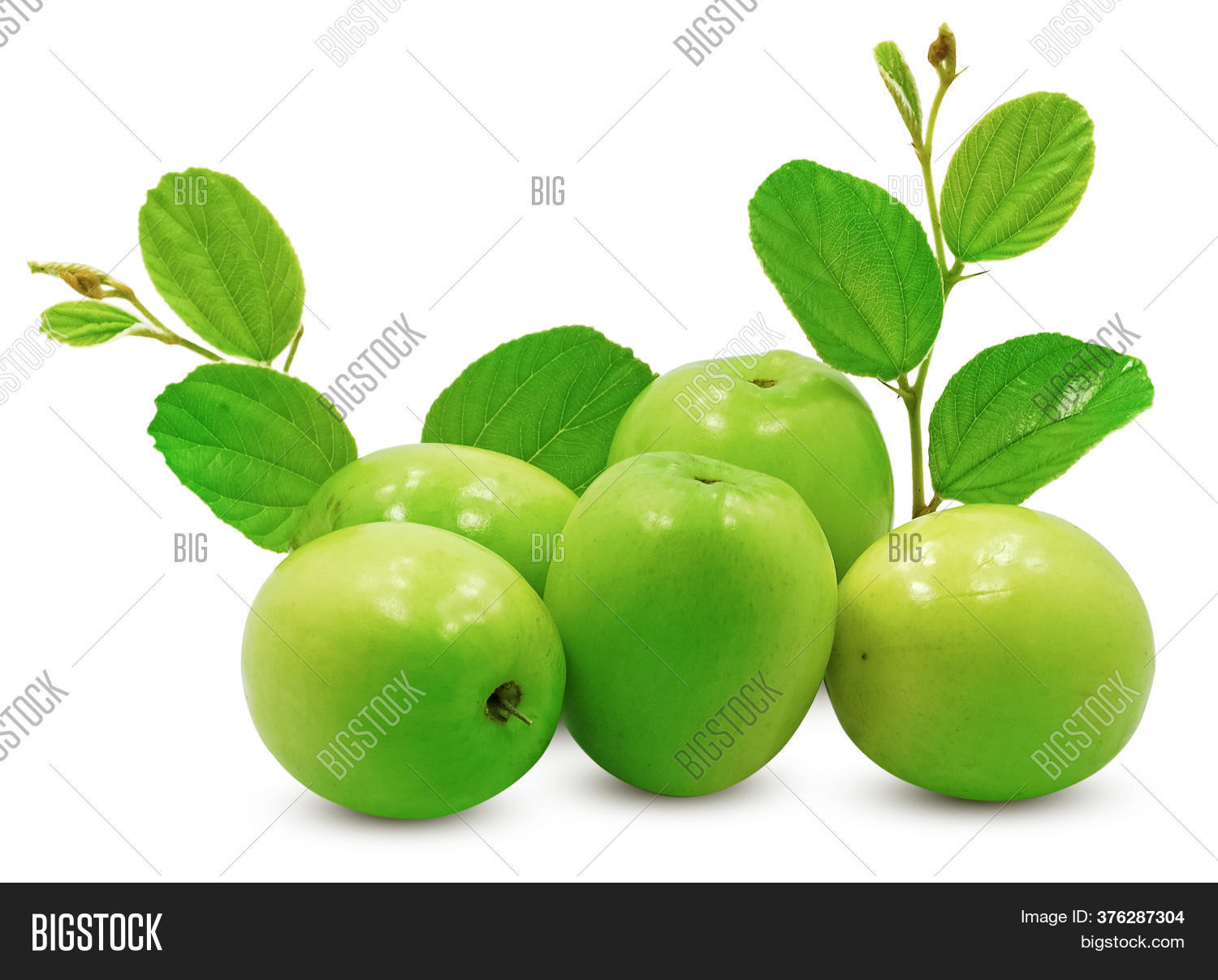 Fresh Jujube Fruit Image & Photo (Free Trial) | Bigstock