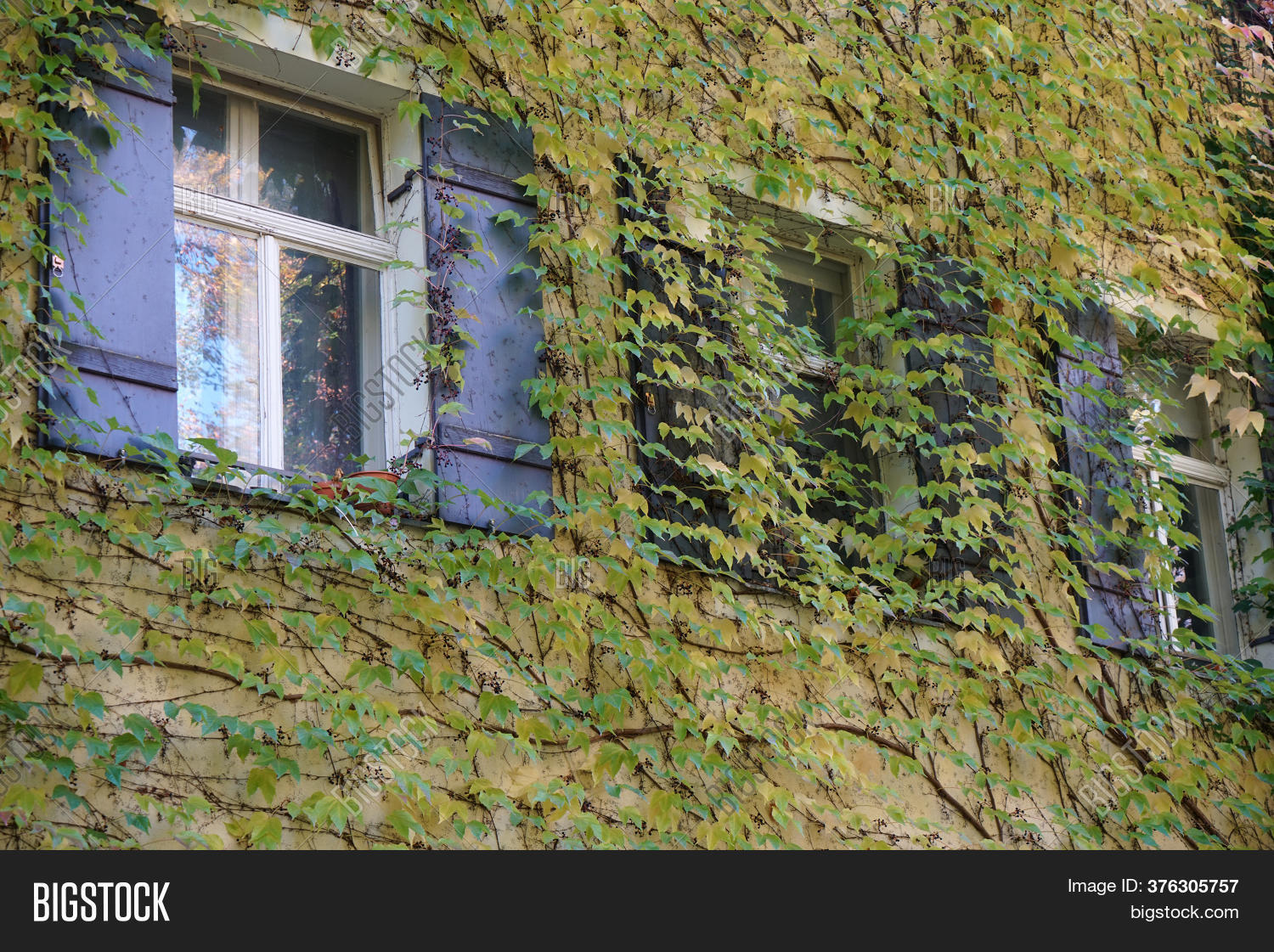 House Facade Overgrown Image & Photo (Free Trial) | Bigstock
