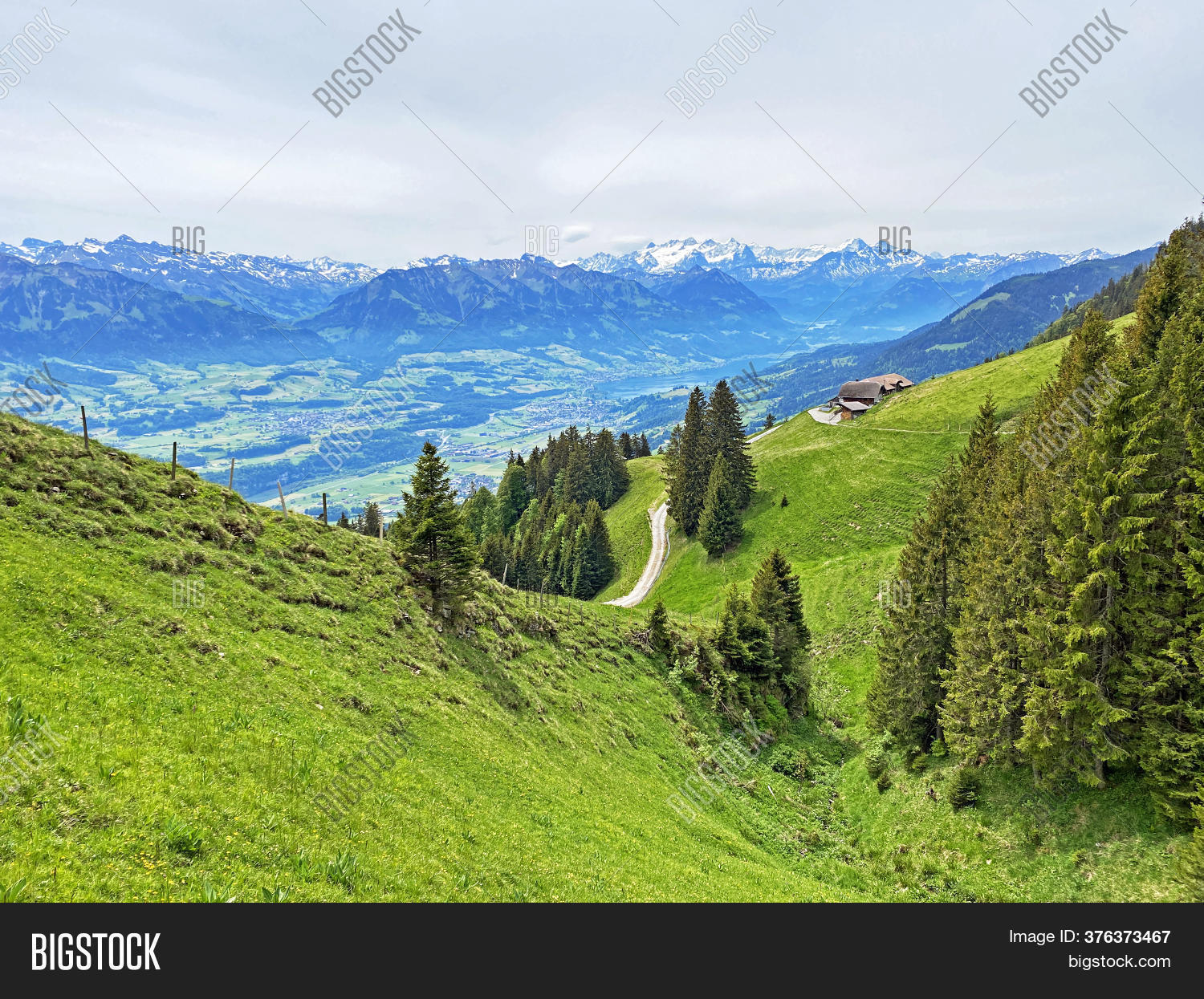 Alpine Pastures Image & Photo (Free Trial) | Bigstock