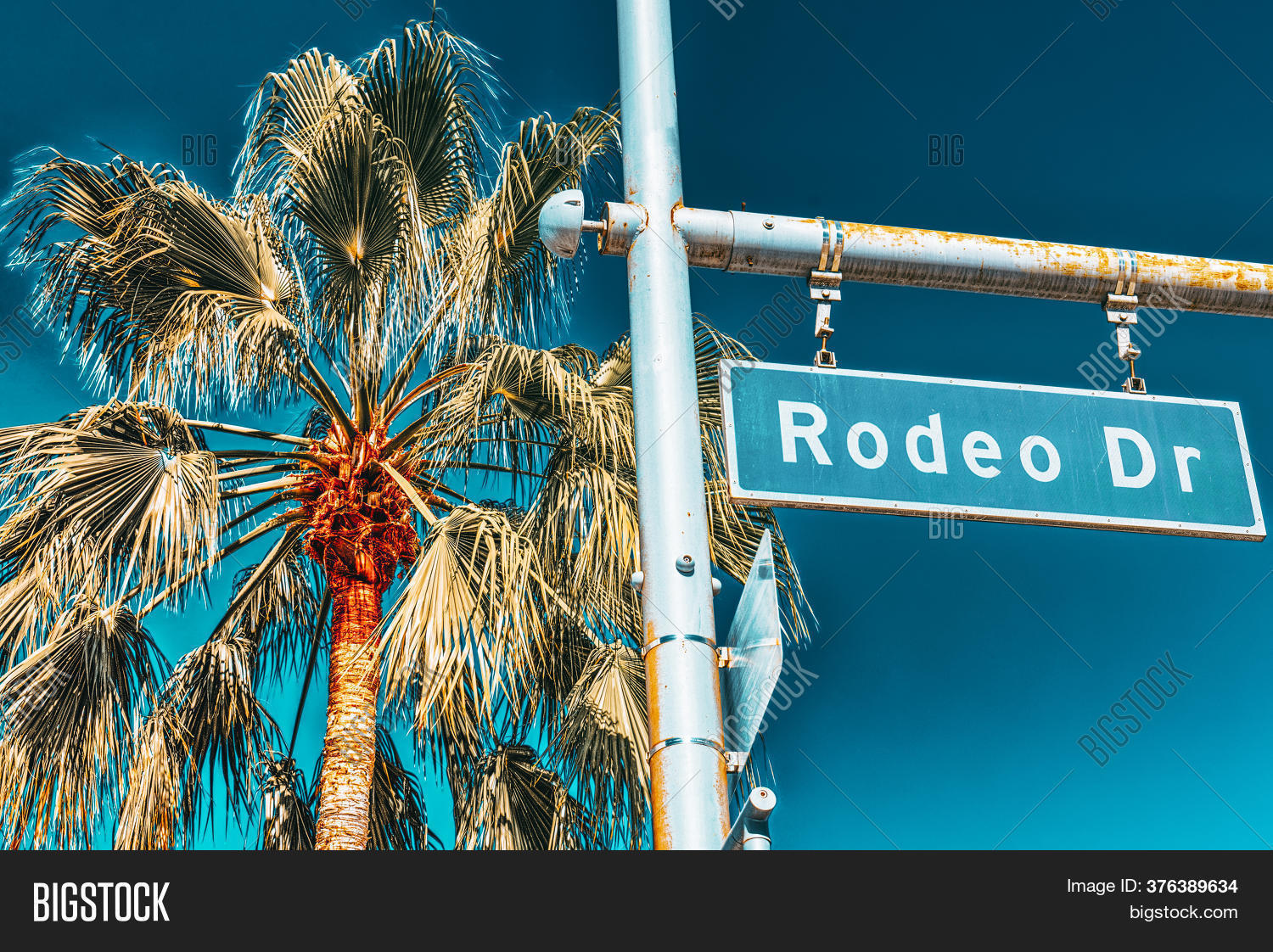 Rodeo Drive Road Sign Image & Photo (Free Trial) | Bigstock