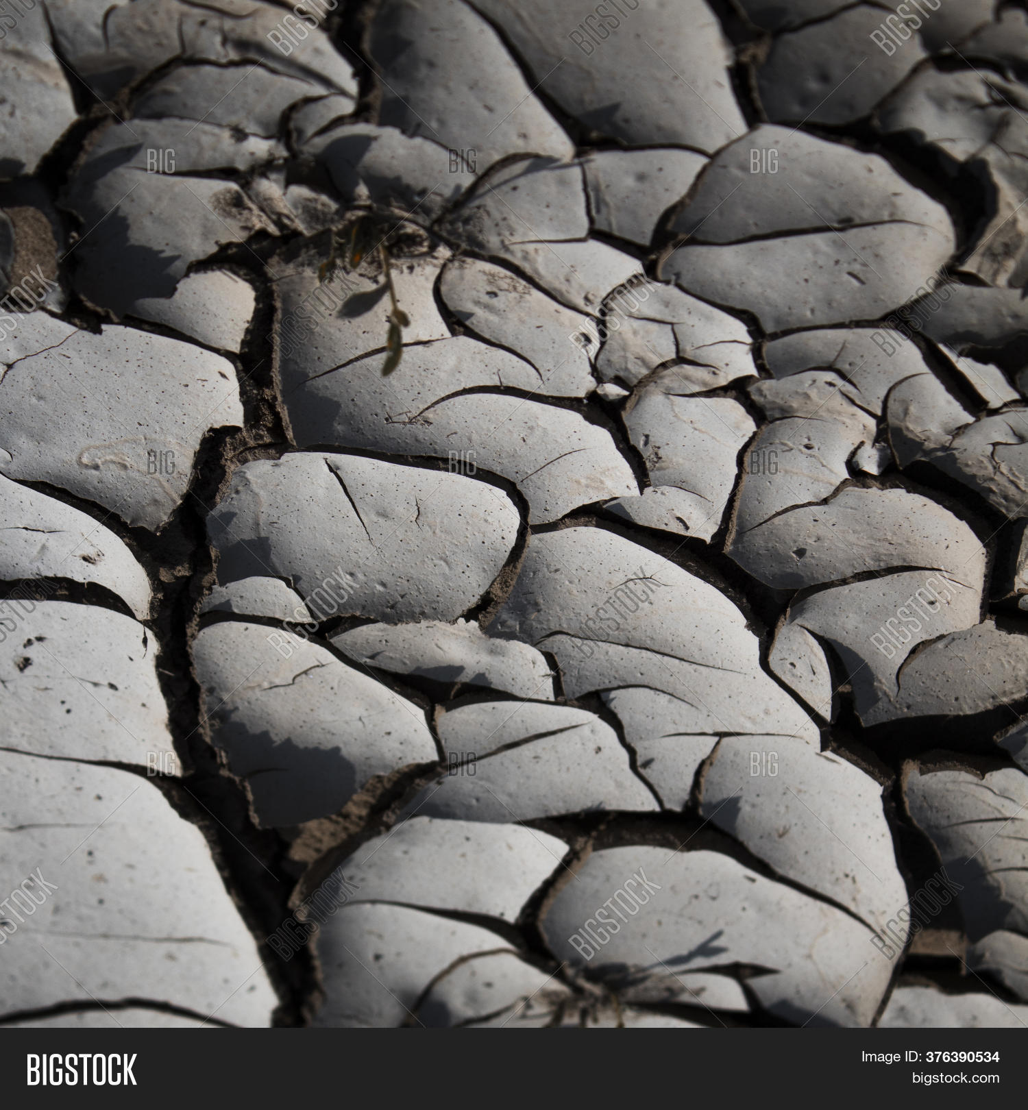 Grey Cracked Soil Image & Photo (Free Trial) | Bigstock