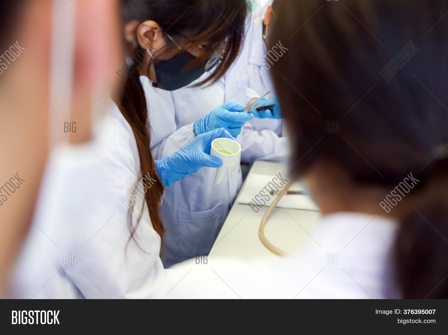 Scientist Analysis Image & Photo (Free Trial) | Bigstock