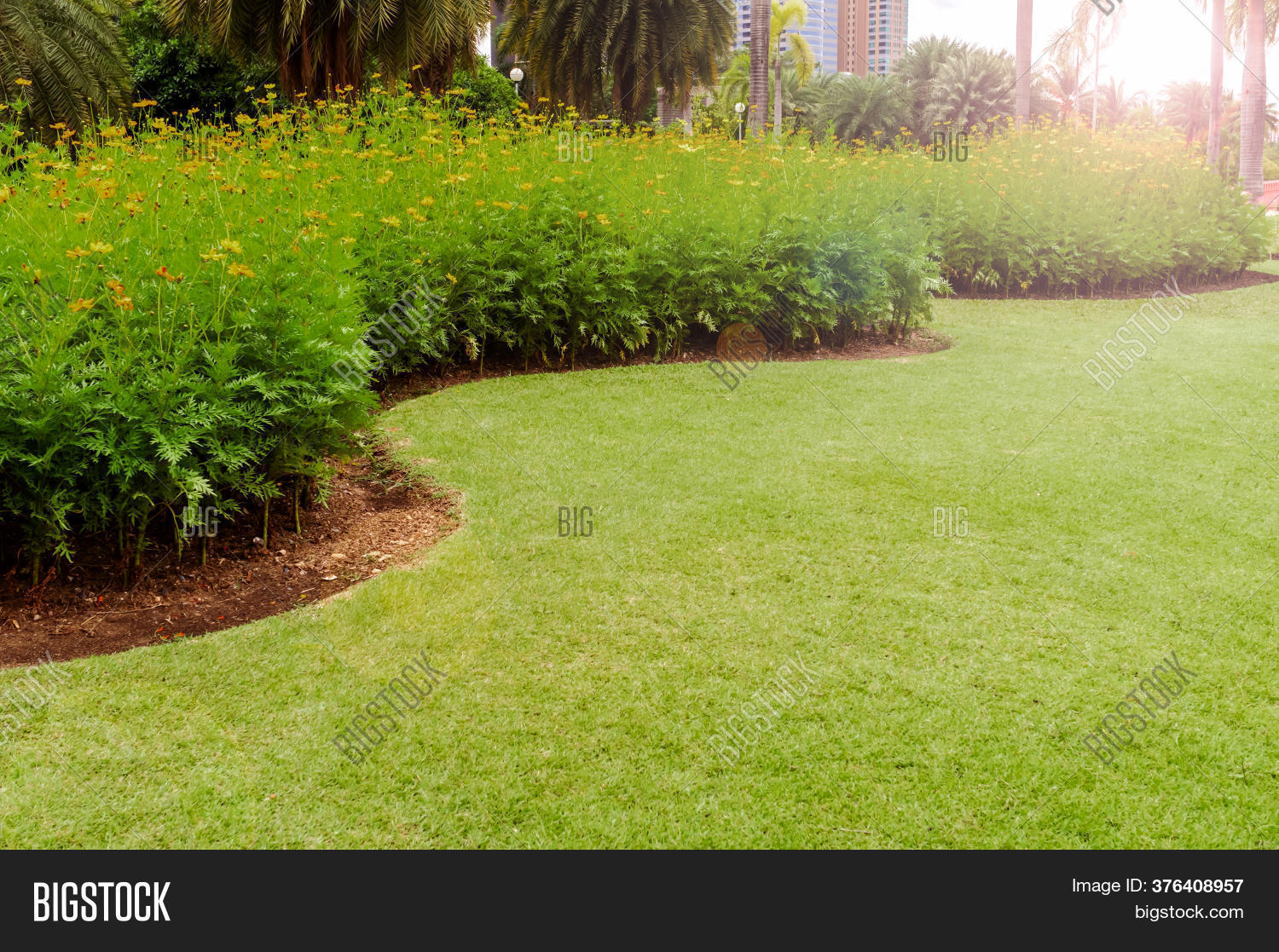 Garden Fresh Green Image & Photo (Free Trial) | Bigstock