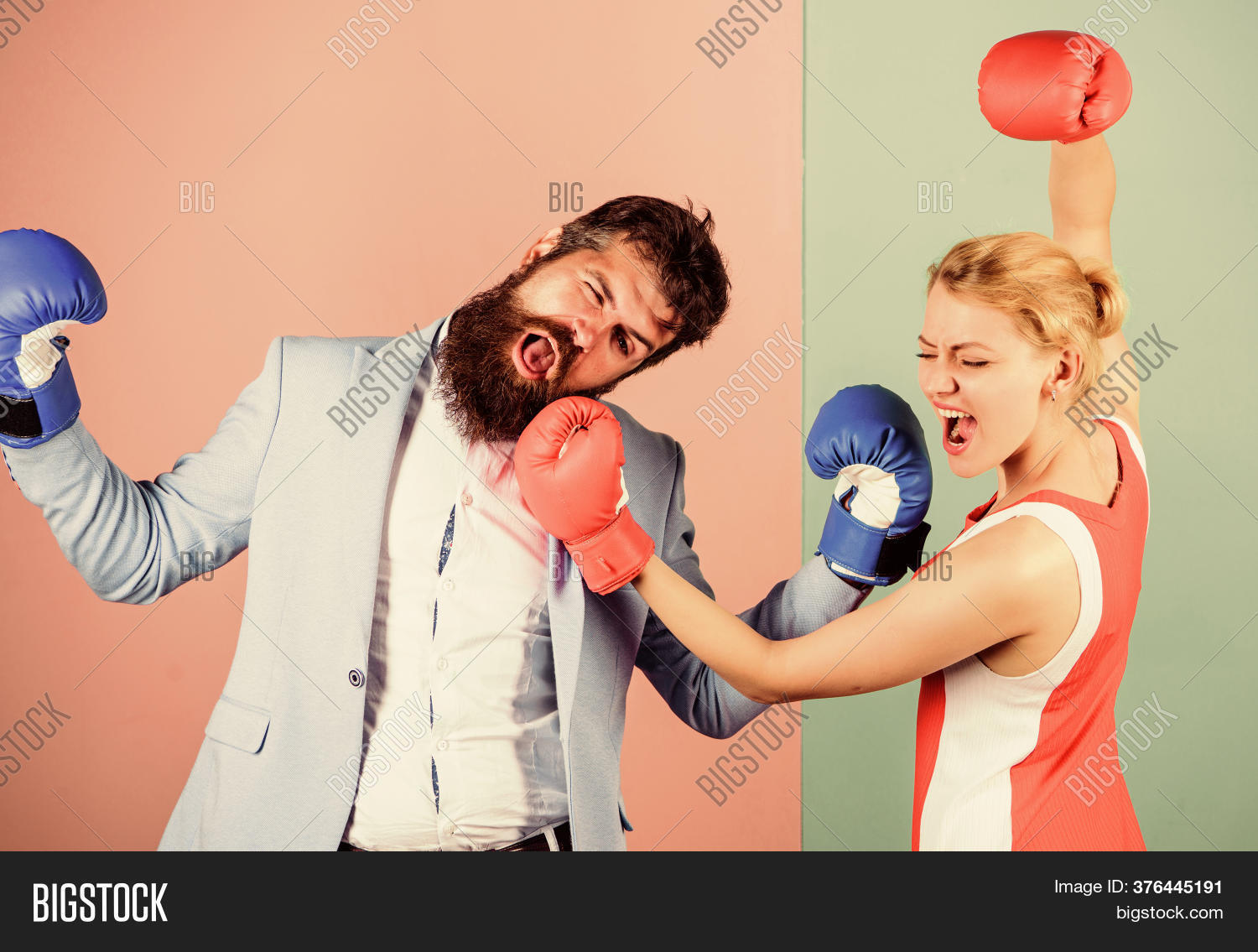 Gender Battle. Gender Image & Photo (Free Trial) | Bigstock