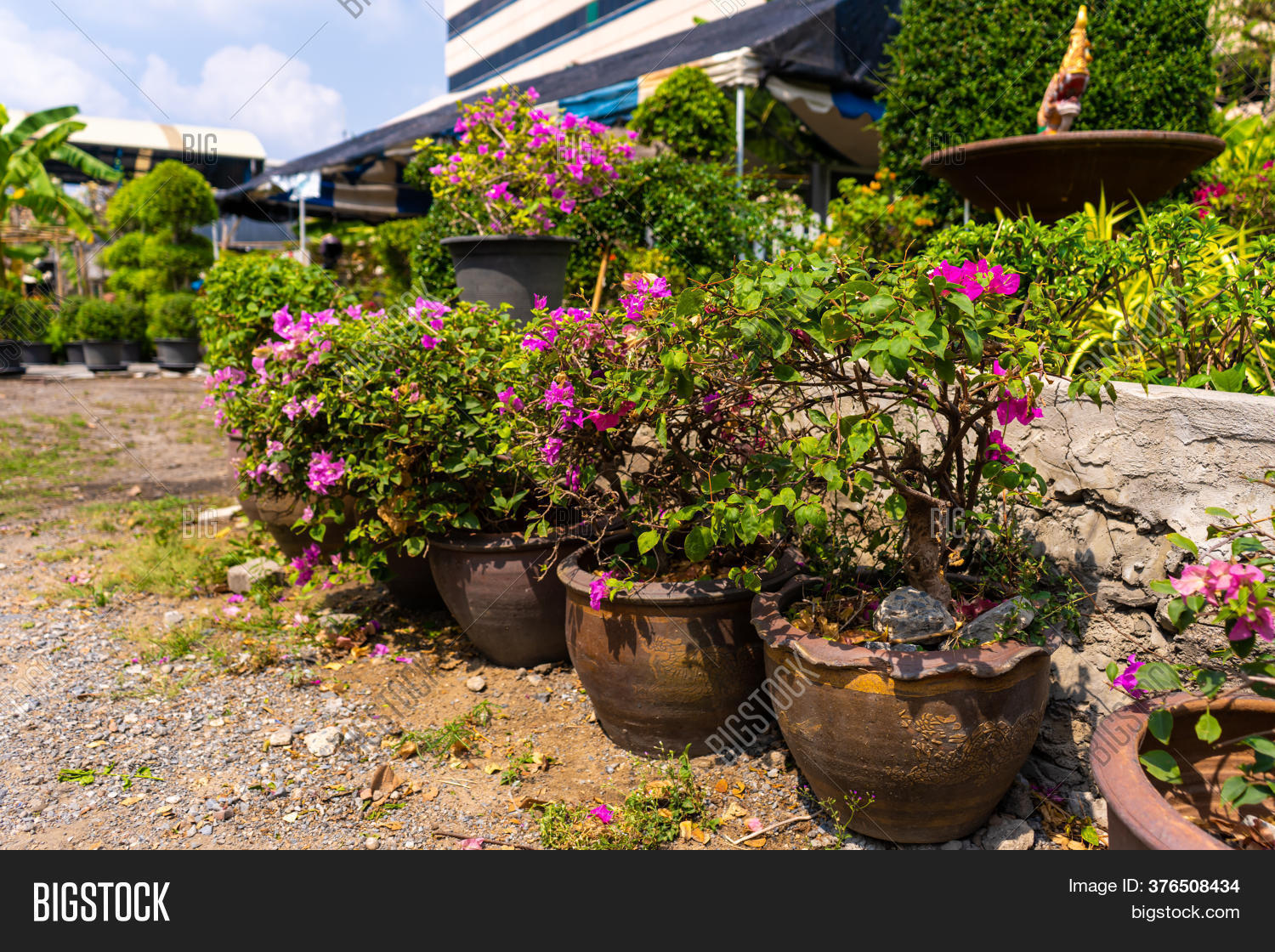 Flower Bed Pots Near Image & Photo (Free Trial) | Bigstock