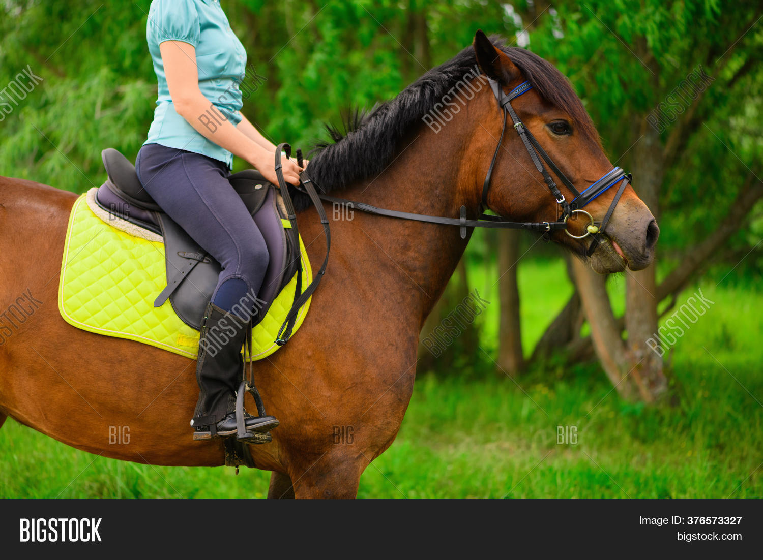 Caucasian Horsewoman Image & Photo (Free Trial) | Bigstock