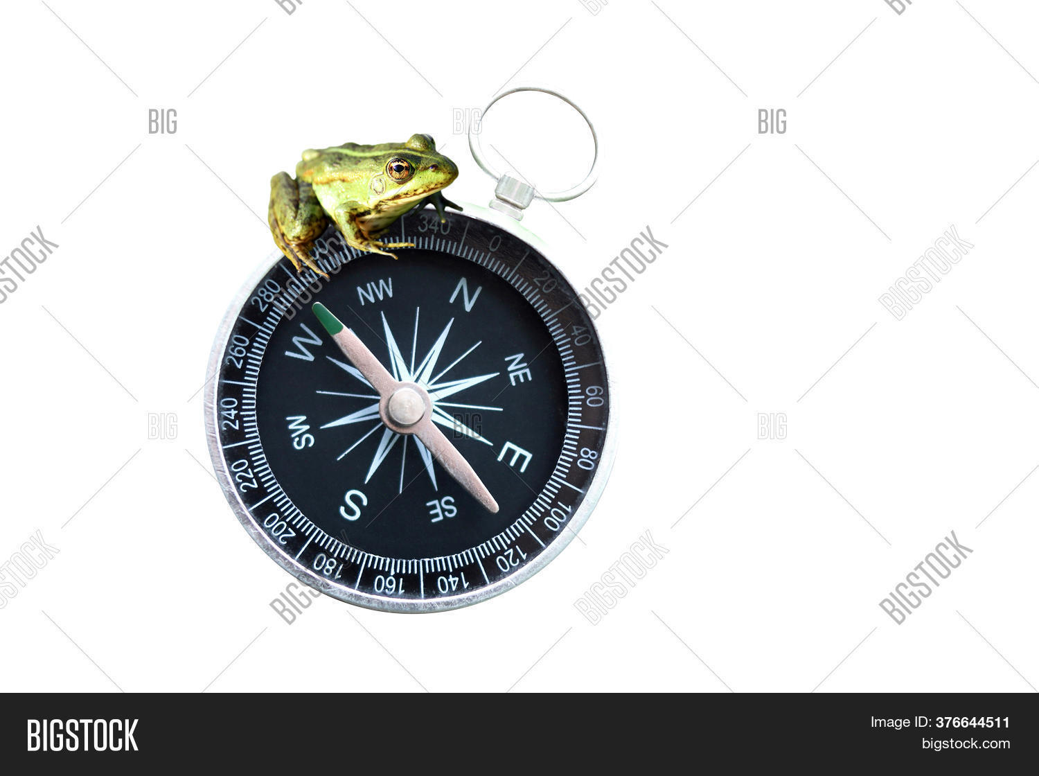 Abstract Photo Compass Image & Photo (Free Trial) | Bigstock
